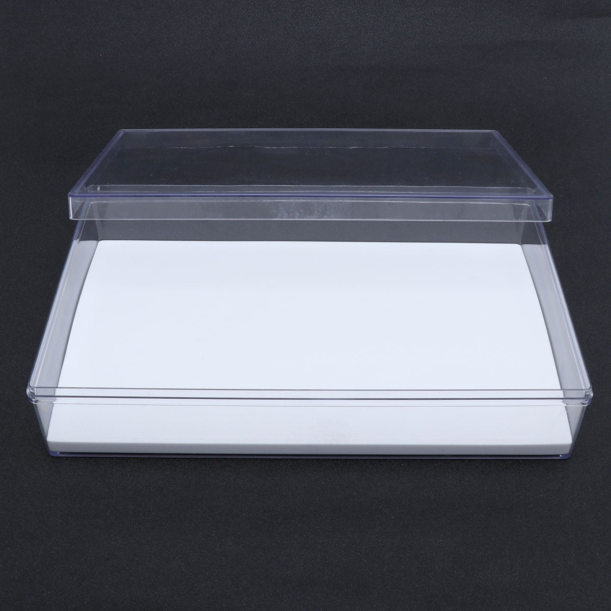 MLINS Bug Collection Case Insect Display Cases for Collectibles Small ...