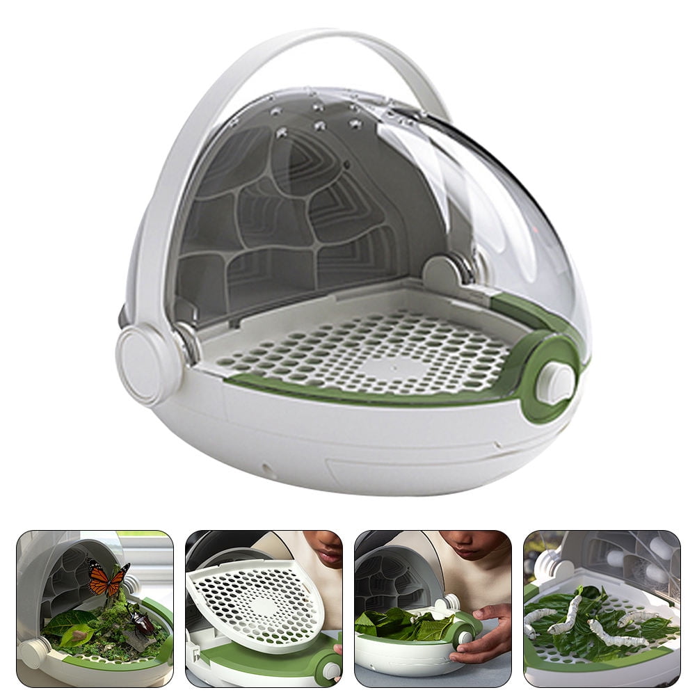 MLINS Bugs Insect Breeding Container Child 23.5X20.5X18CM - Walmart.com