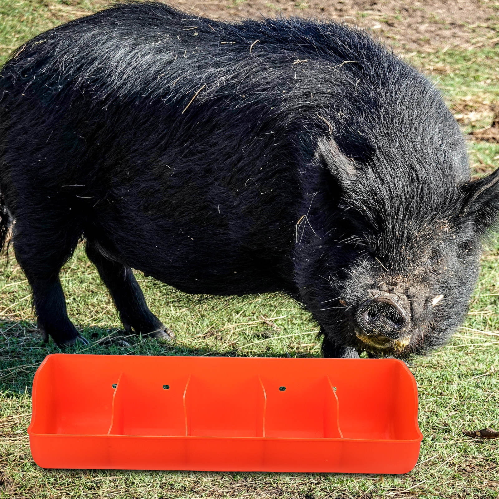 MLINS Cattle Goat Sheep Feed Trough Pig Feeder Poultry Feeder 5 Slots ...