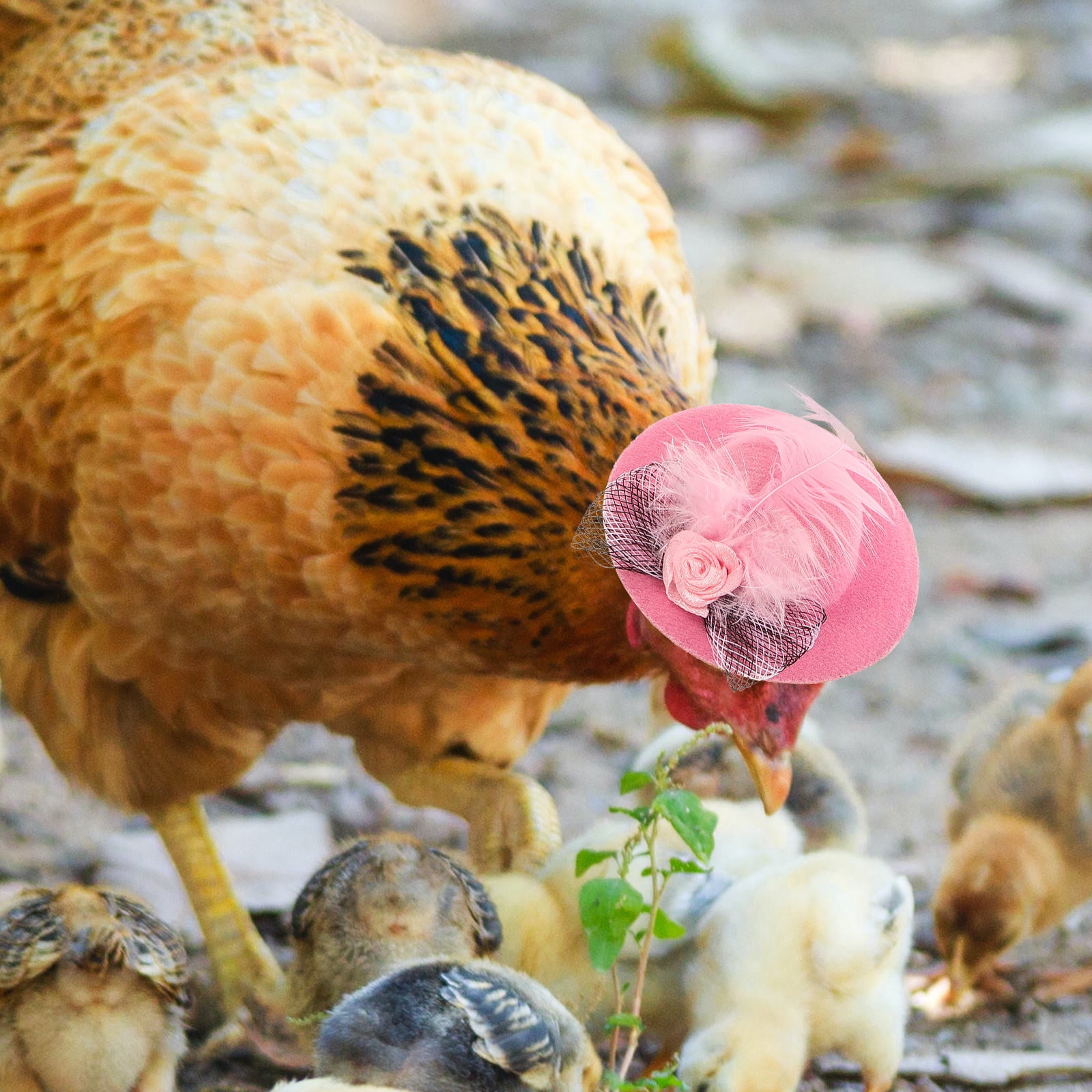 AURARMLET Rooster Hat Hats Assorted Color Cloth 6Pcs Party Accessory - Walmart.com