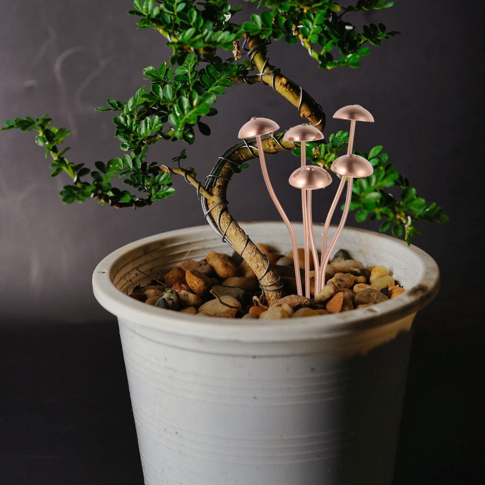 MLINS Coffee Metal Mushroom Stake Planter Pot for Garden Decoration ...