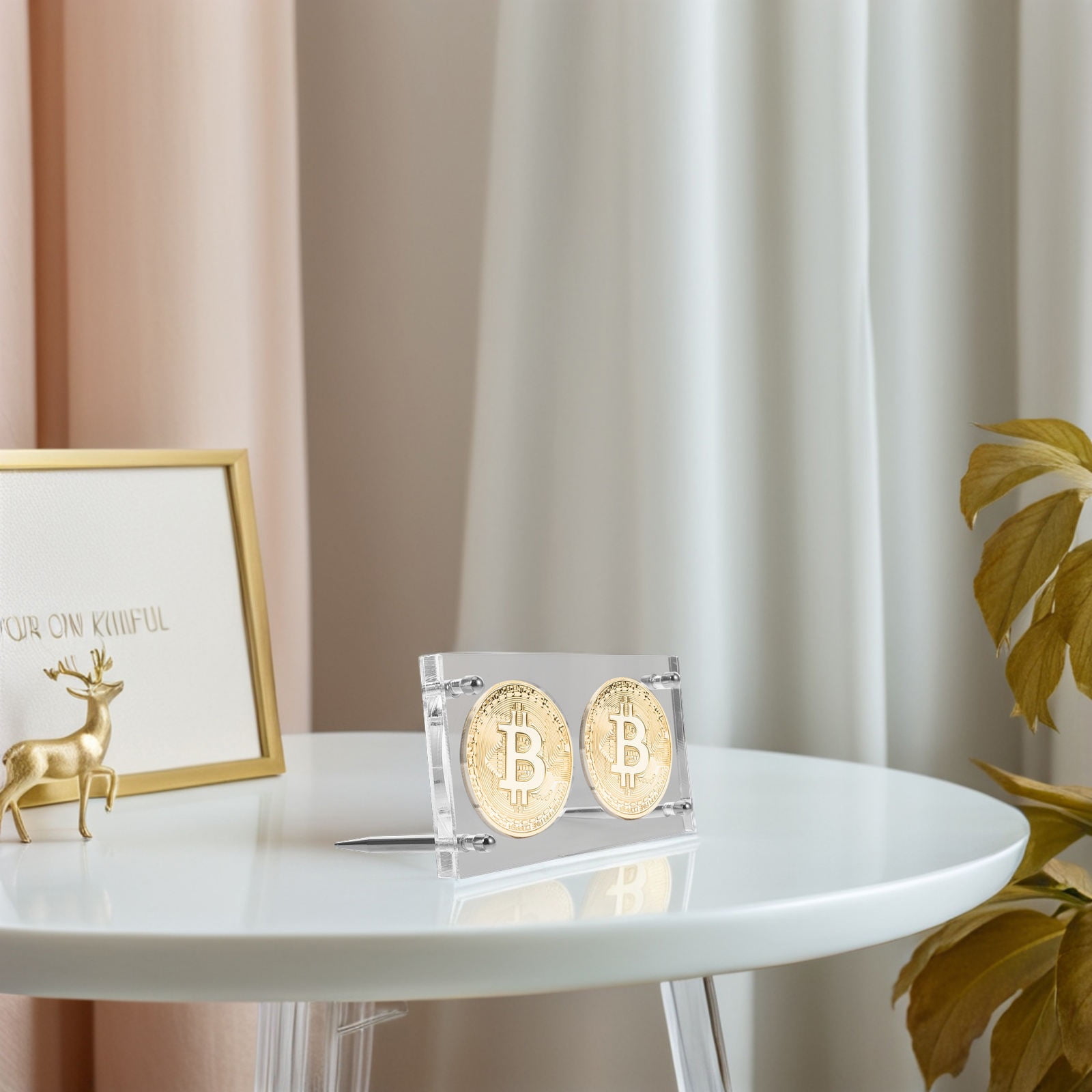 MLINS Coin Collecting Storage Box With Dual Compartments Coin Display ...