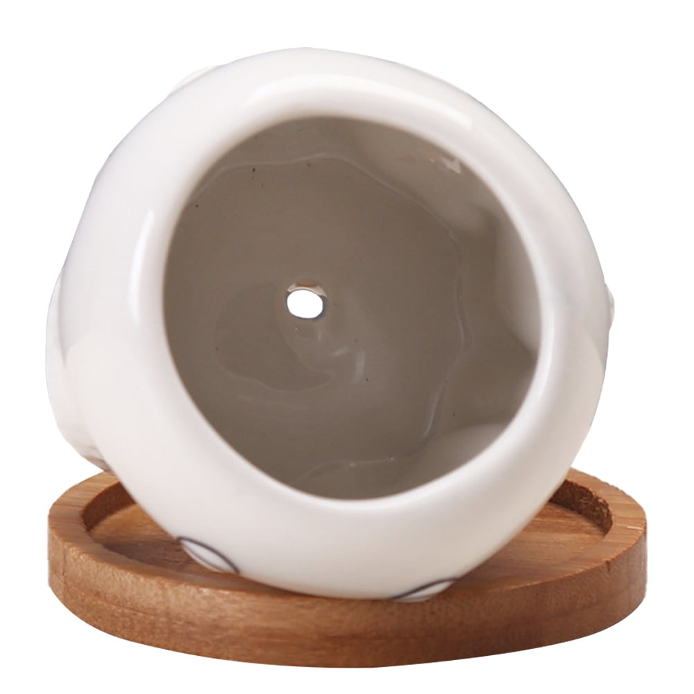 MLINS Cute Octopus Ceramic Planter for Cactus and Succulents White Desk ...