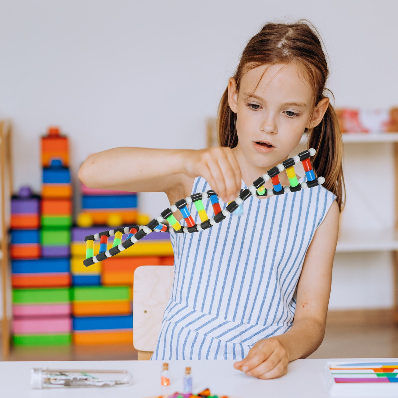 MLINS DNA Model Double Helix Display Component for Science Education ...