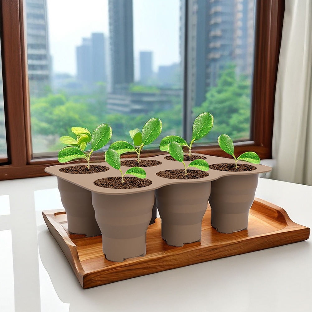 MLINS Dark Brown Plant Germination Box Silicone Container for Storage ...
