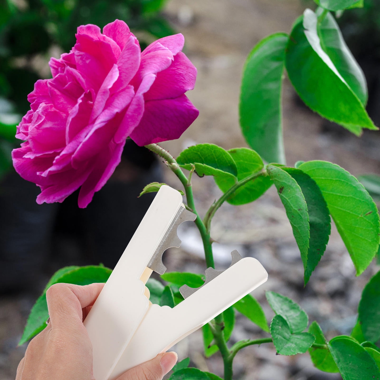 MLINS De Thorn Tool Piercing Pliers Burr Removal Women's Child ...