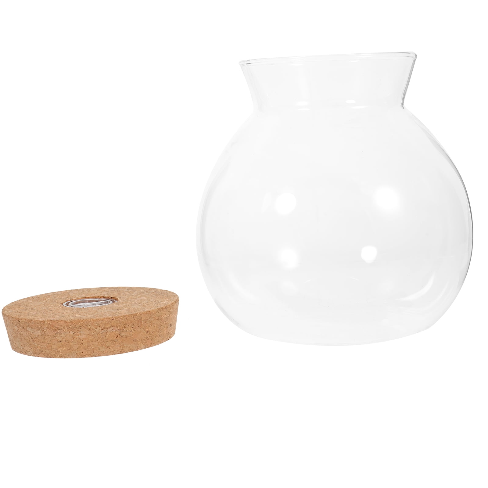 FELTECHELECTR Glass Bottle Terrarium 1Pcs 6.3X5.9X5.9in For Hobbyists ...