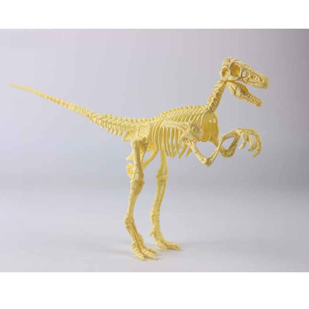 MLINS Dinosaur Skeleton Toys for Kids to Dig and Assemble Realistic ...