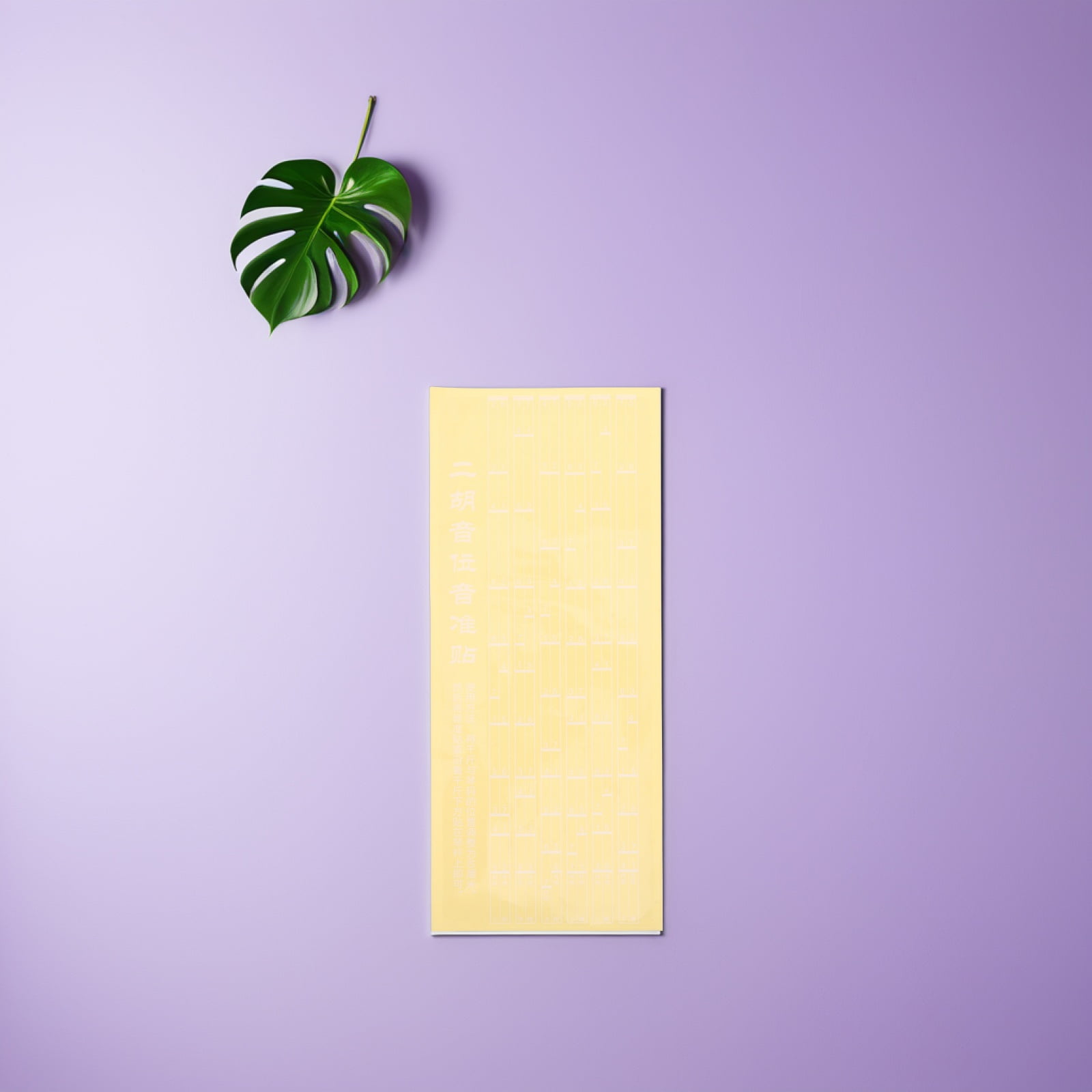 MLINS Erhu Learning Stickers for Beginners Comprehensive Scale and ...