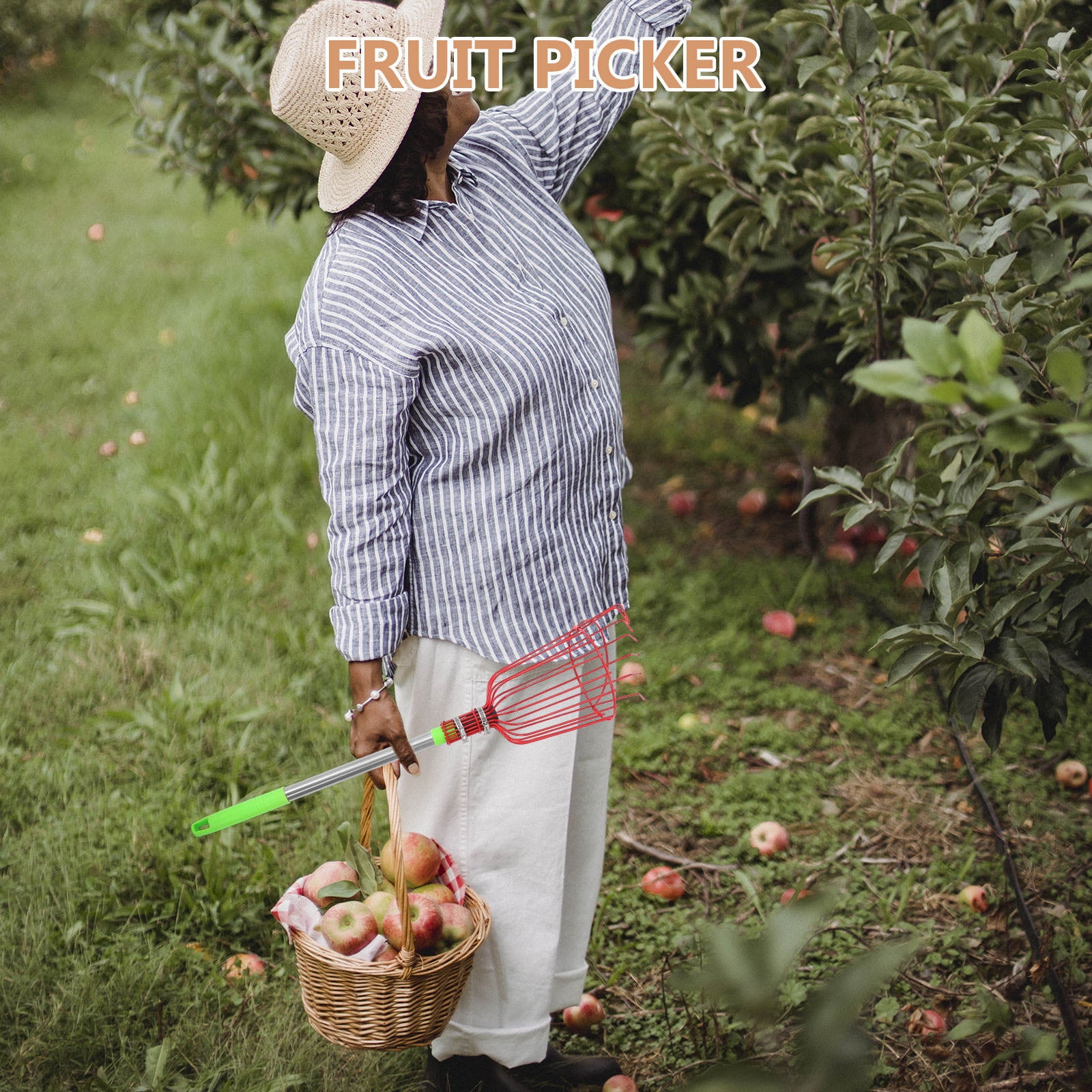 MLINS Extendable Fruit Picker for Picking with Stainless Steel Pole and ...