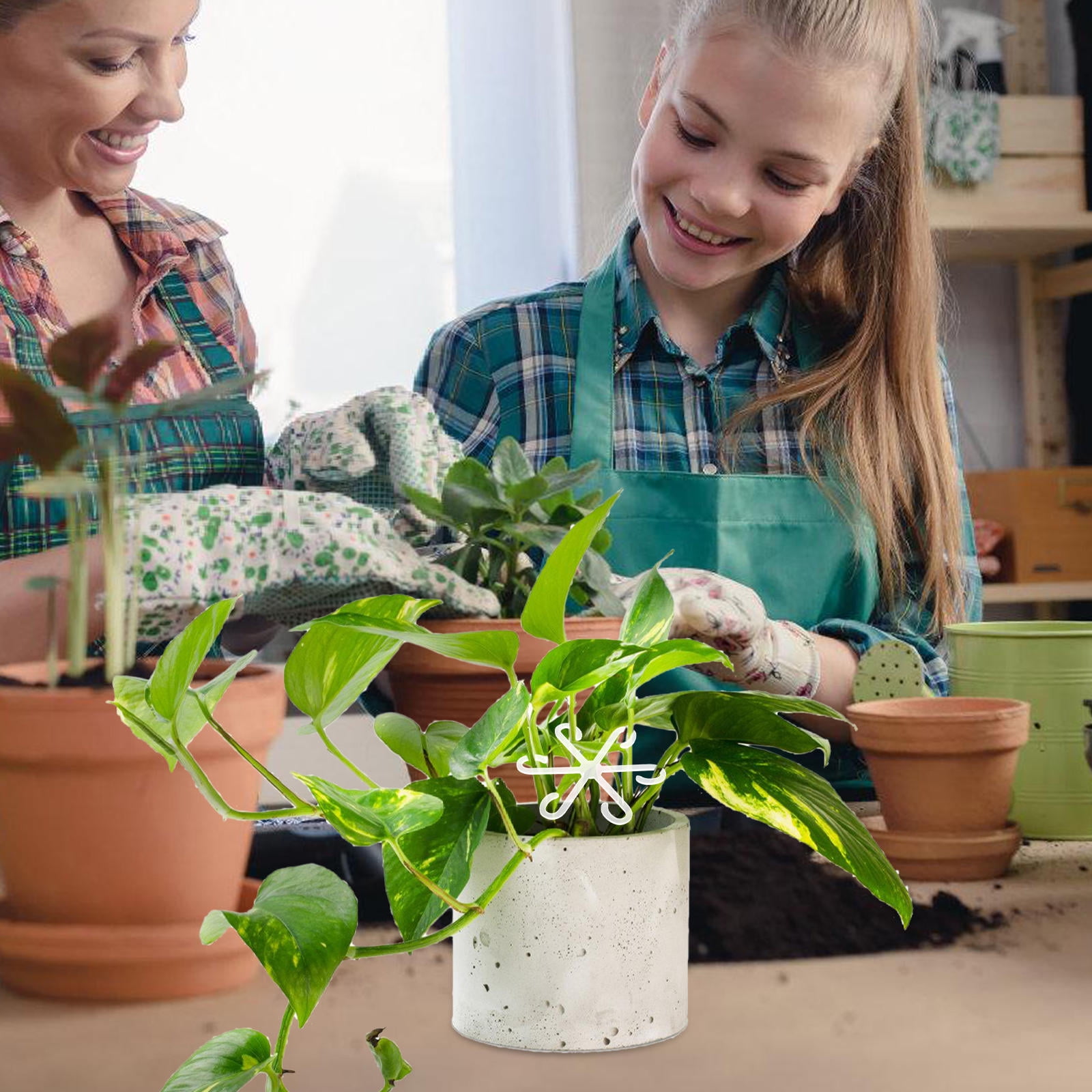 MLINS Flower Stems Fixed Holder Flowerpot Stems Holder Bonsai Stems ...