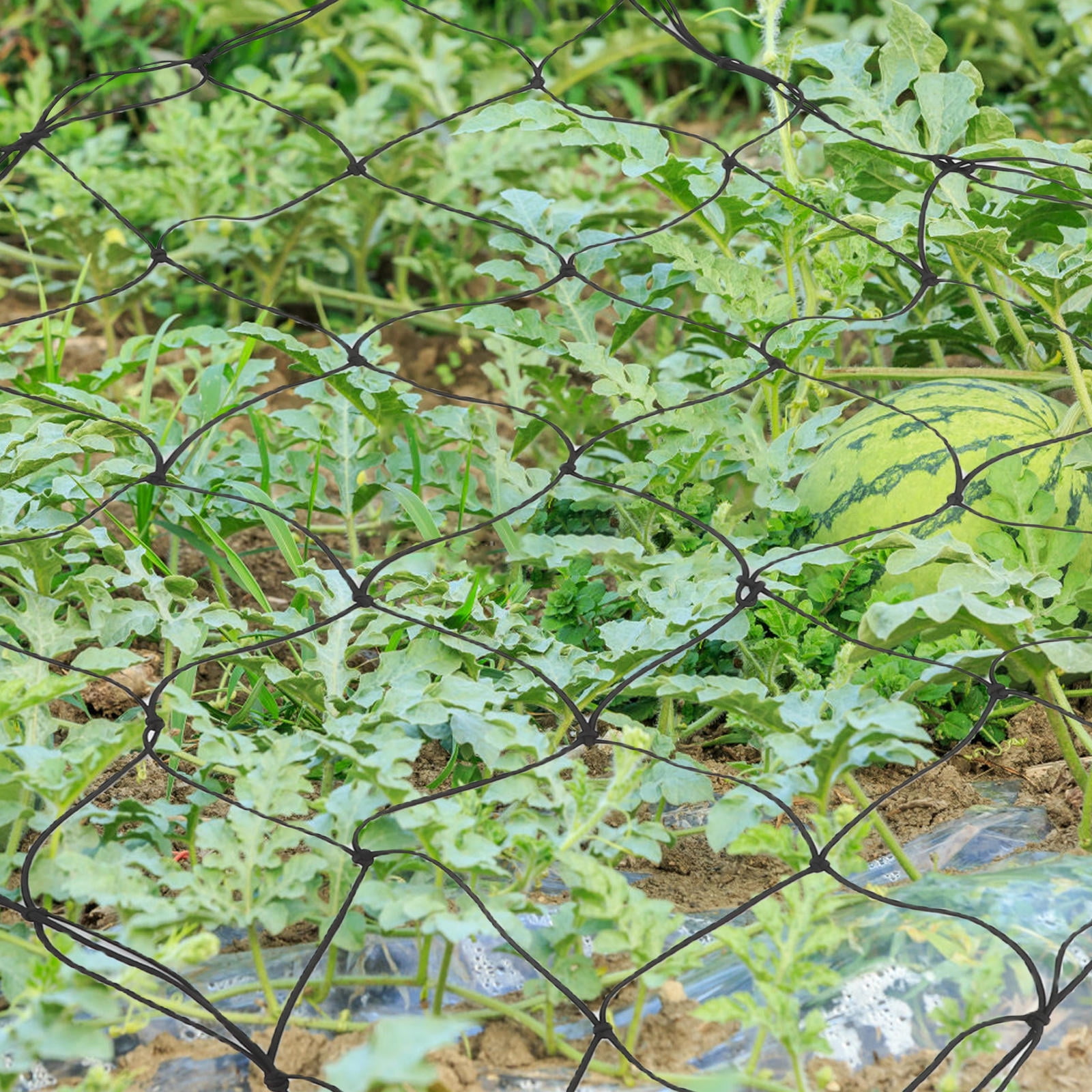 MLINS Garden Supply Tent Plant Trellis Rack Flexible Plant Netting ...