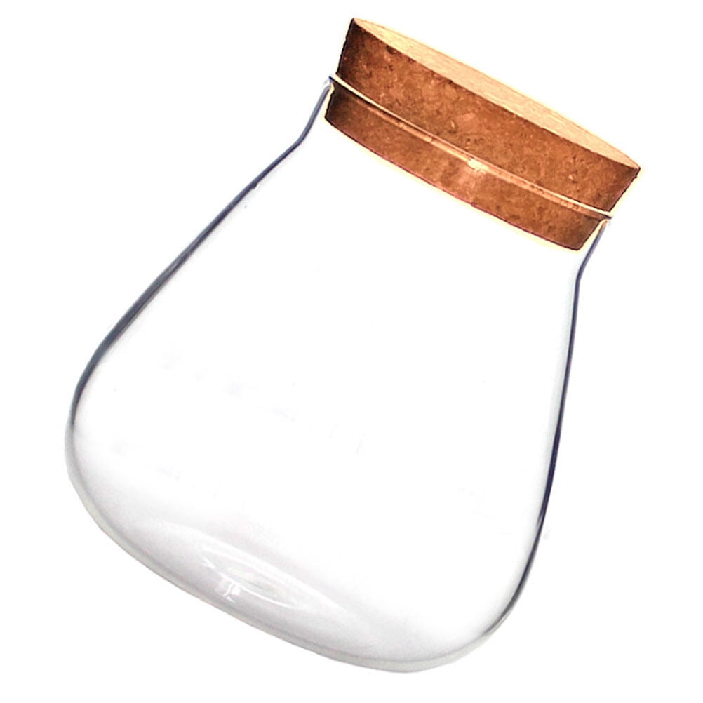 MLINS Glass Terrarium Cork Lid Plant Vase with Top Travel - Walmart.com