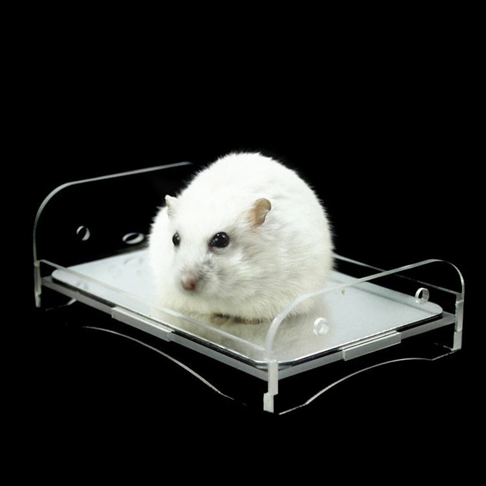 MLINS Hamster Transparent Cooling Plate Effective Pet Tool - Walmart.com