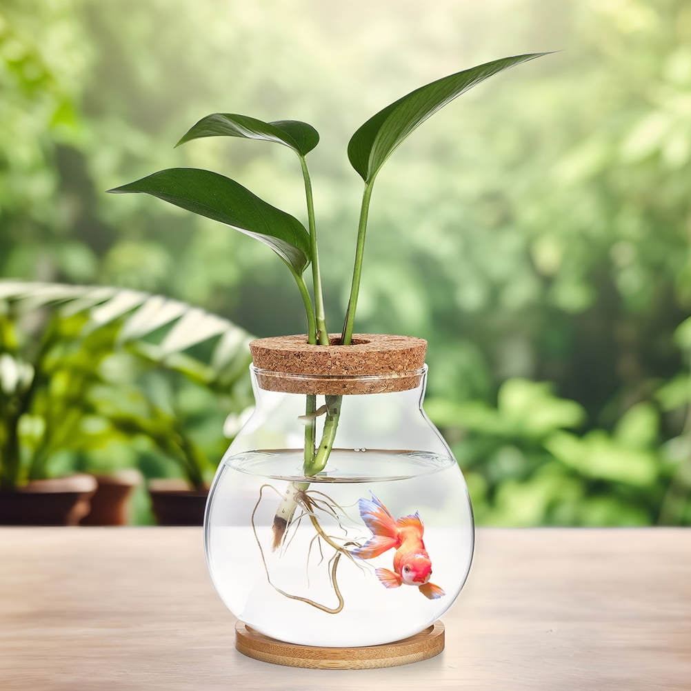 MLINS Hydroponic Transparent Glass Fish Tank With Lid Small Fish Bowl ...