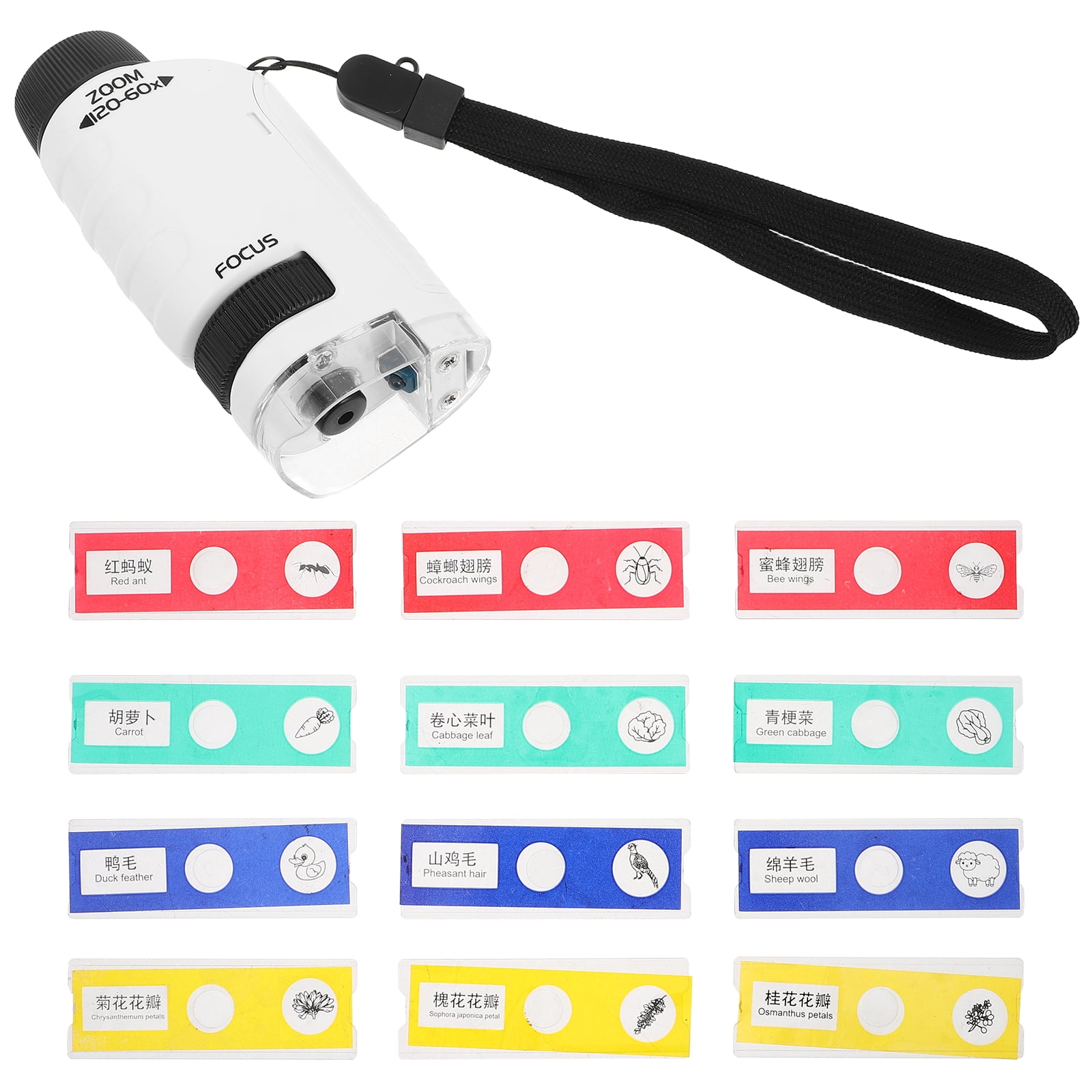 MLINS Kids Portable Microscope Elementary School Handheld Pupils White ...