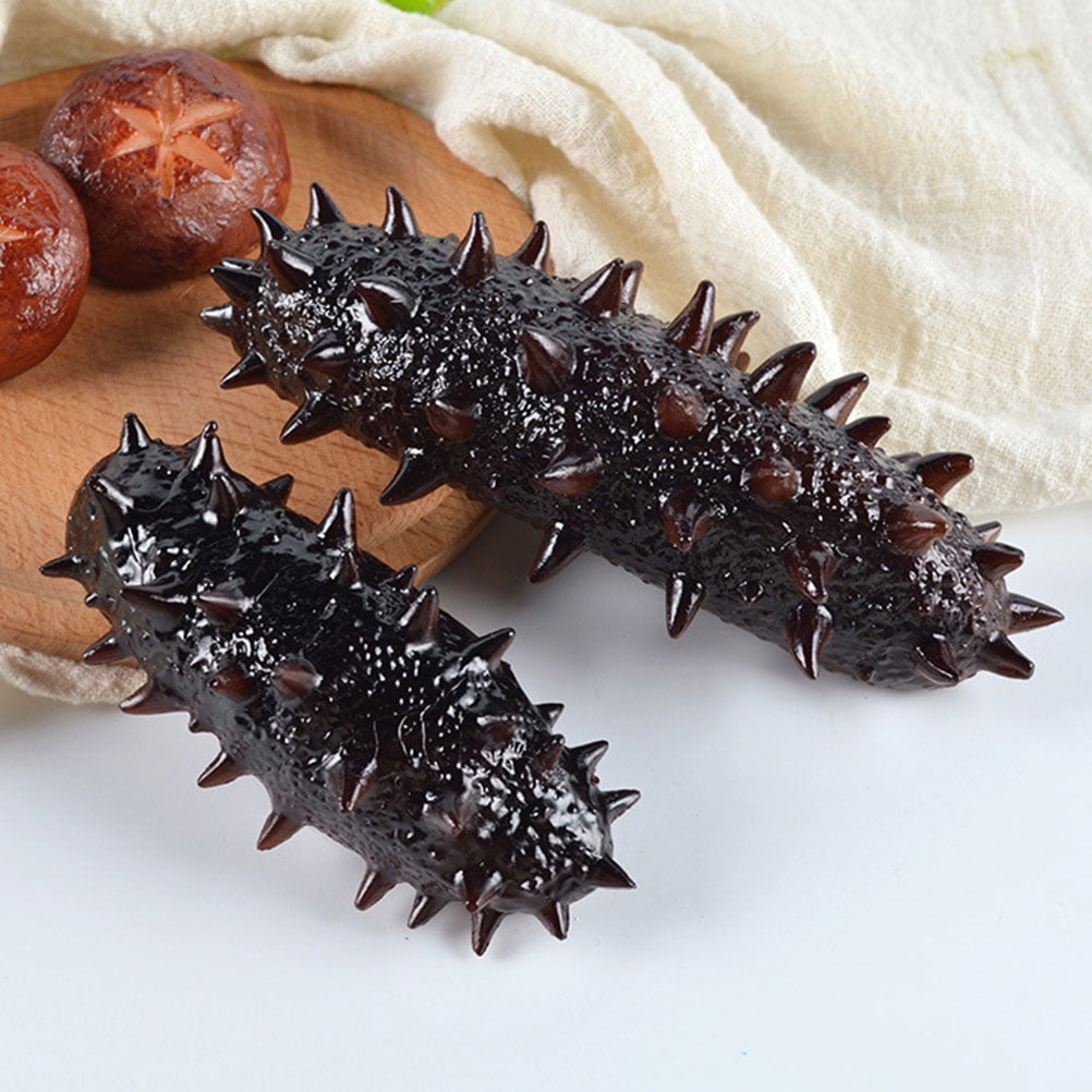 MLINS Lifelike Simulation Sea Cucumber Model for Kids Made of PVC ...