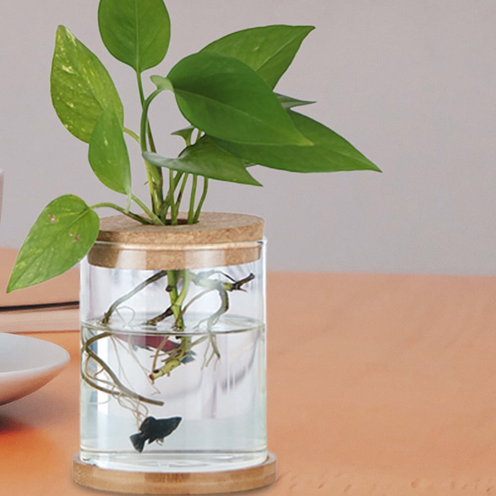 MLINS Light Brown Terrarium Cork Lids for Hydroponic Plants with Center ...