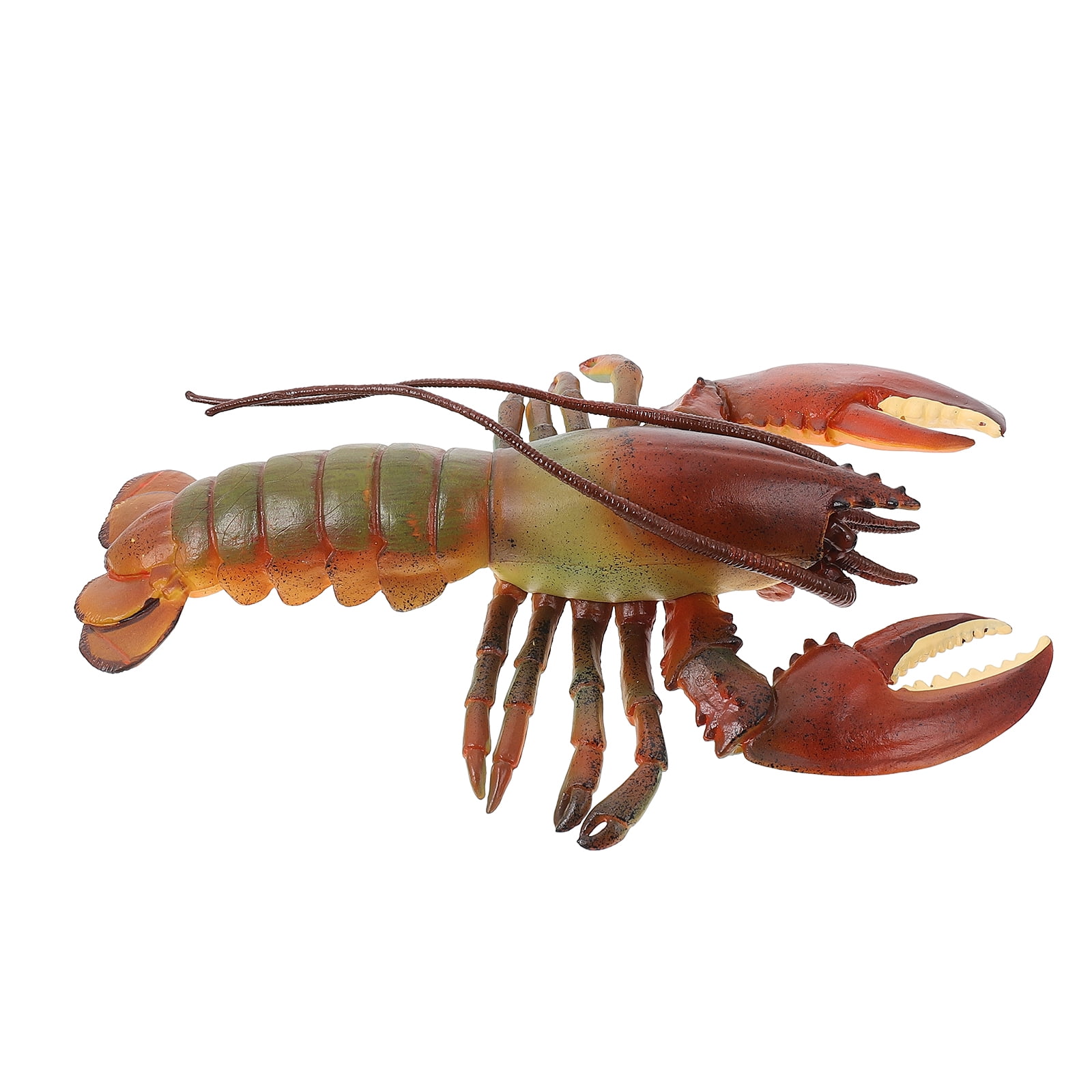 MLINS Lobster Model Safe and Practical Toy Marine Animal Figurine Child ...