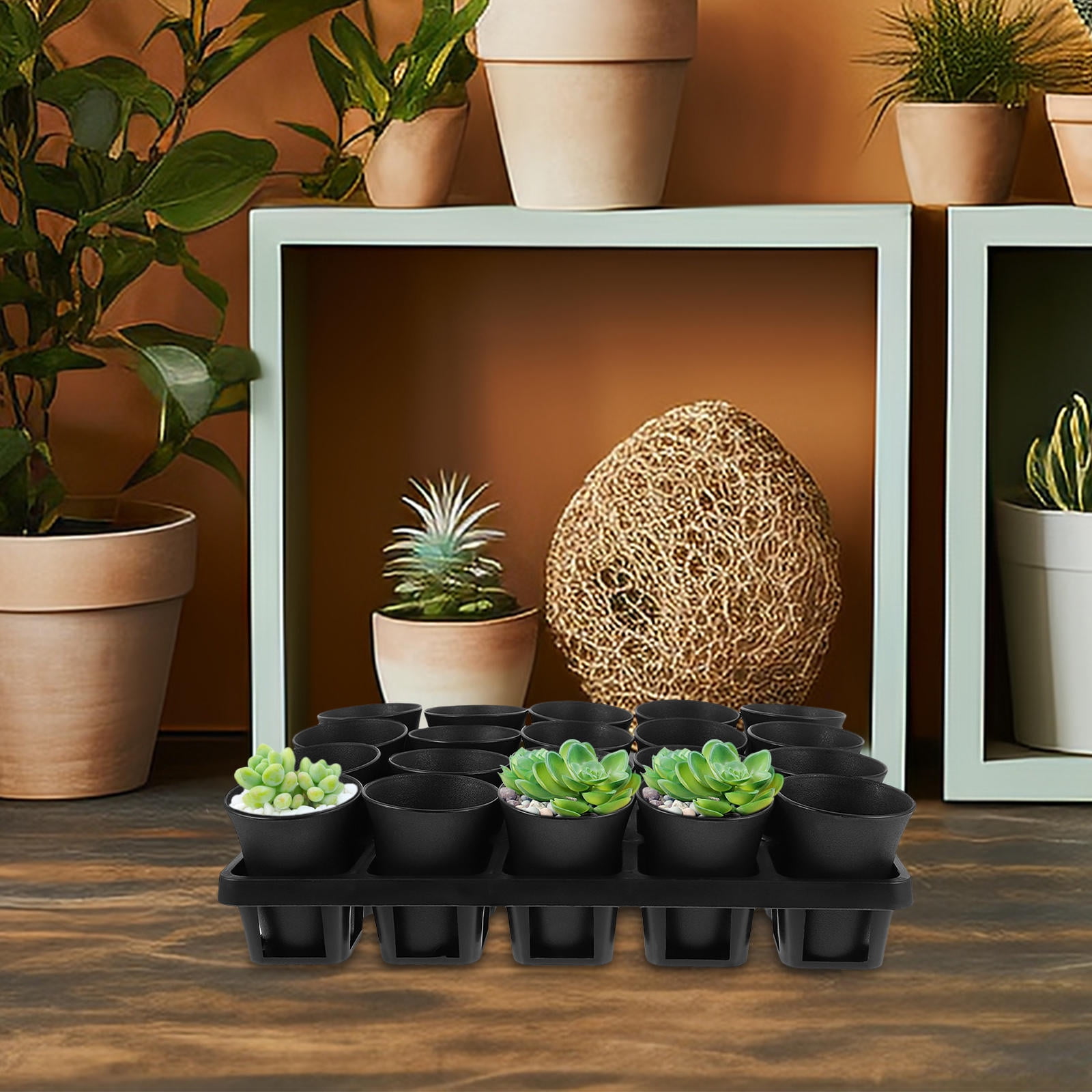 MLINS Meat Basin Organizer Basket Duty Unique Company Plants Black ...