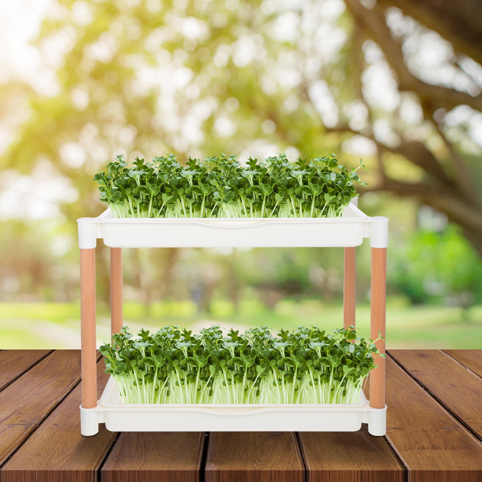 MLINS Microgreens Growing Tray Sprouting Tray Water Tray for Plants ...