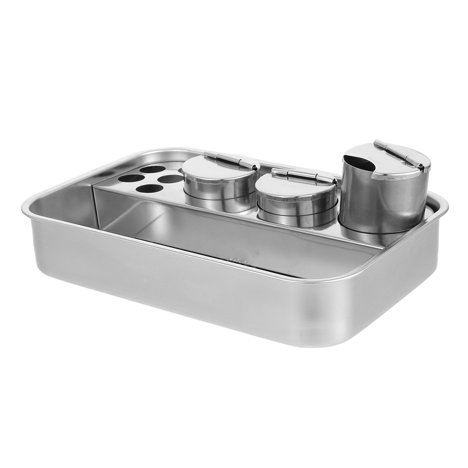 MLINS Multi-Use Stainless Steel Treatment Plate Rectangular ...