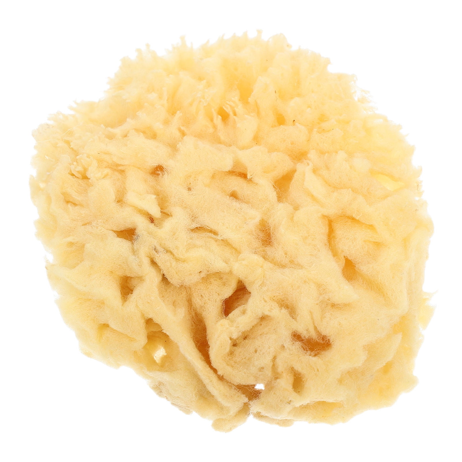 MLINS Natural Sea Sponge for Art and Craft Soft and Absorbent suitable ...