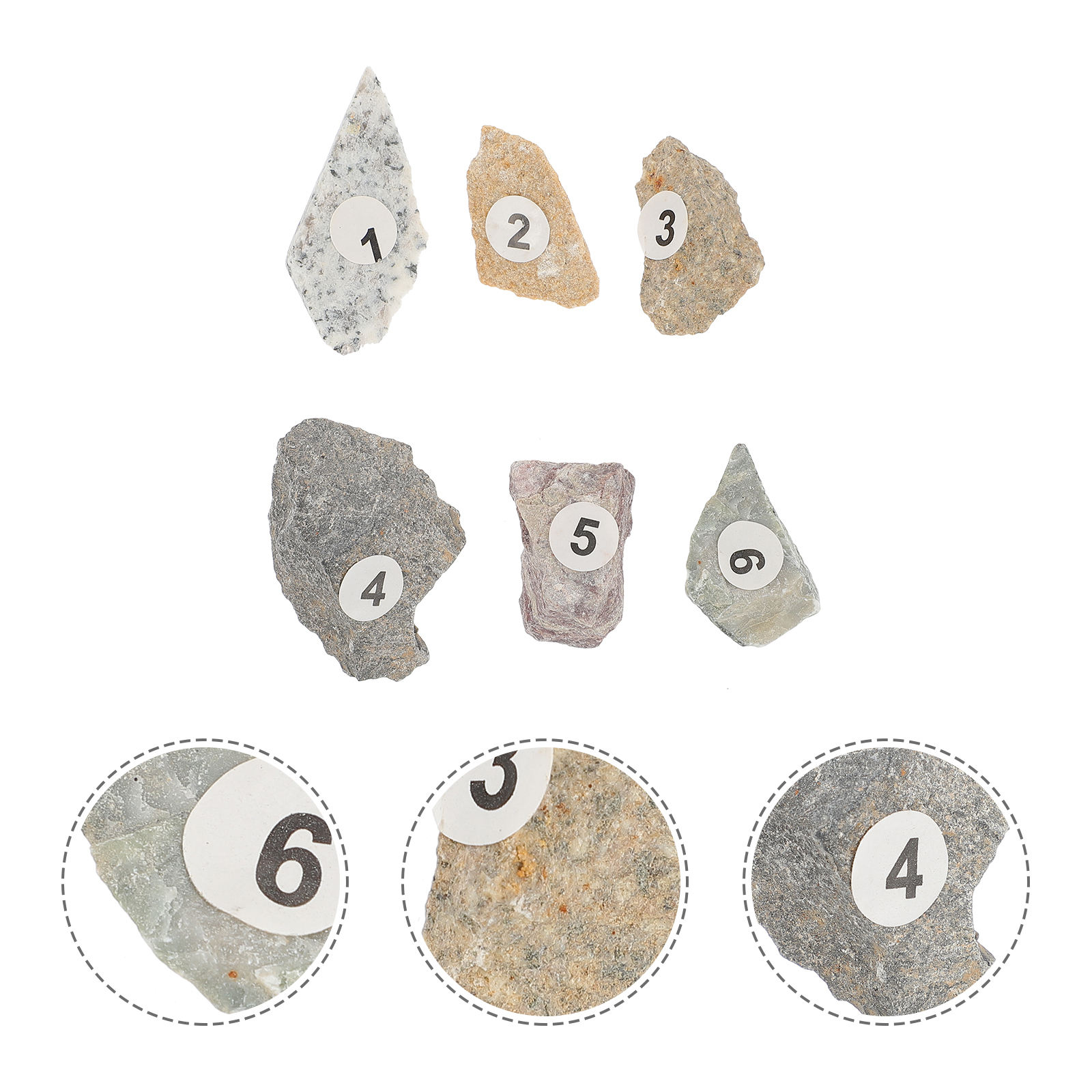 MLINS Natural Stone Specimen Set for Teaching in School and Home Multi ...