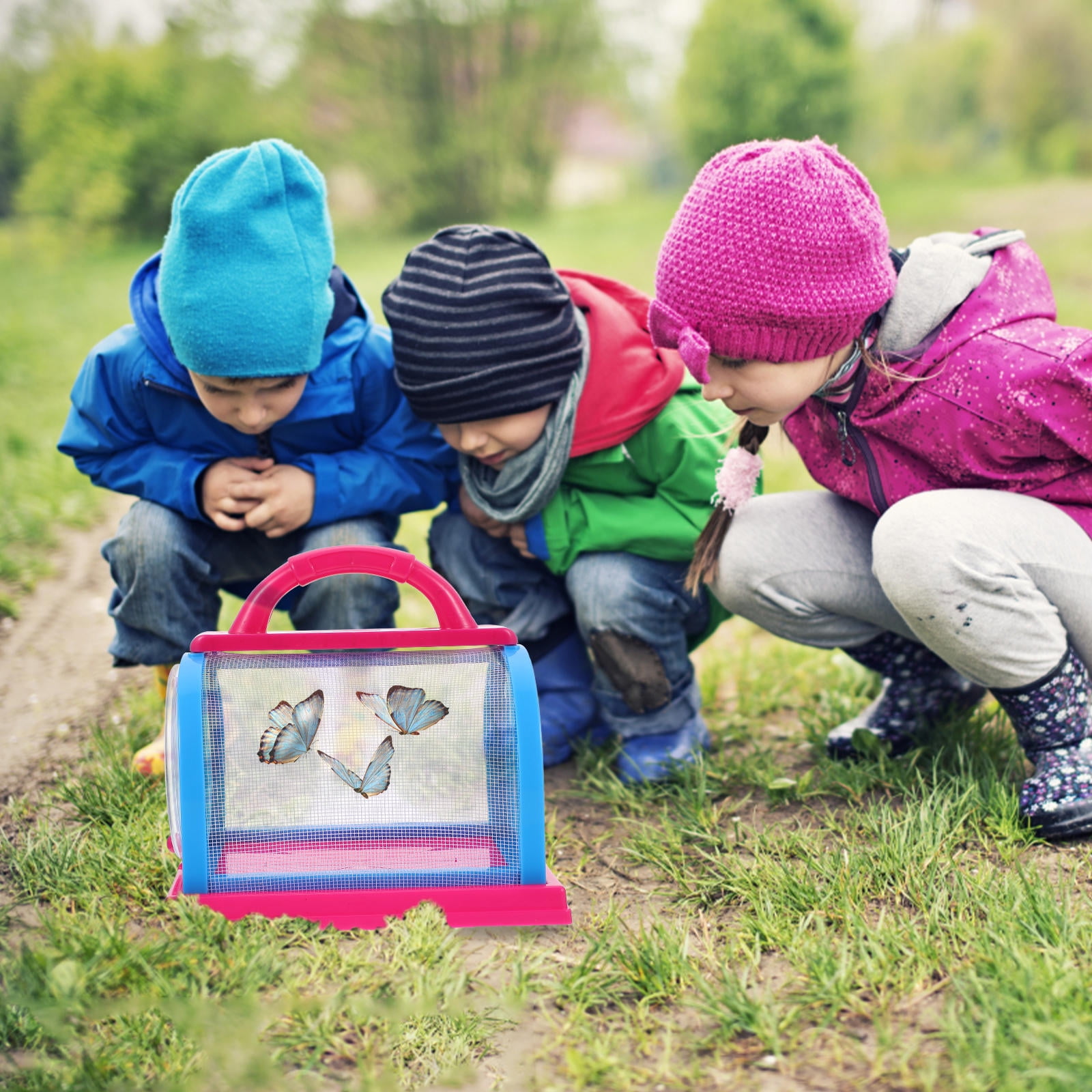 MLINS Outdoor Cage Insect Observation Box Insect Viewing Cage Child 19 ...