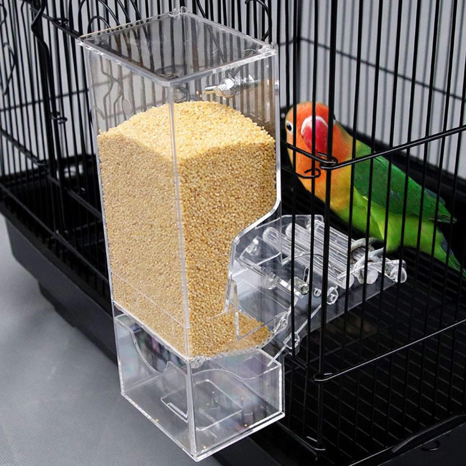 MLINS Parakeet Automatic Feeder Bird Supply Transparent Small Baby ...
