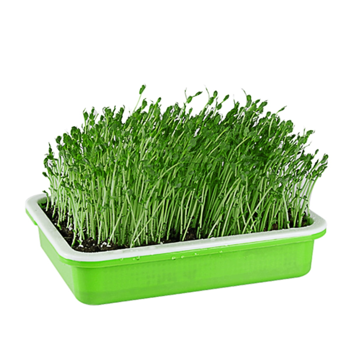 MLINS Plant Bean Sprouts Seedling Tray Grid Design Versatile Sprouting ...