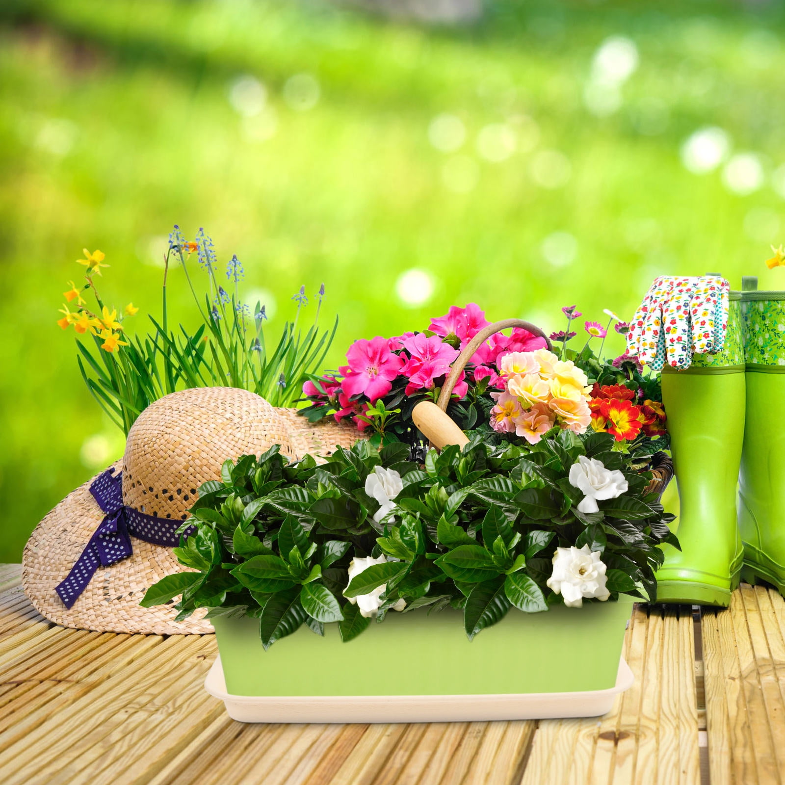 MLINS Plant Tray Planter Tray Planter Water Tray Shallow Rectangular ...