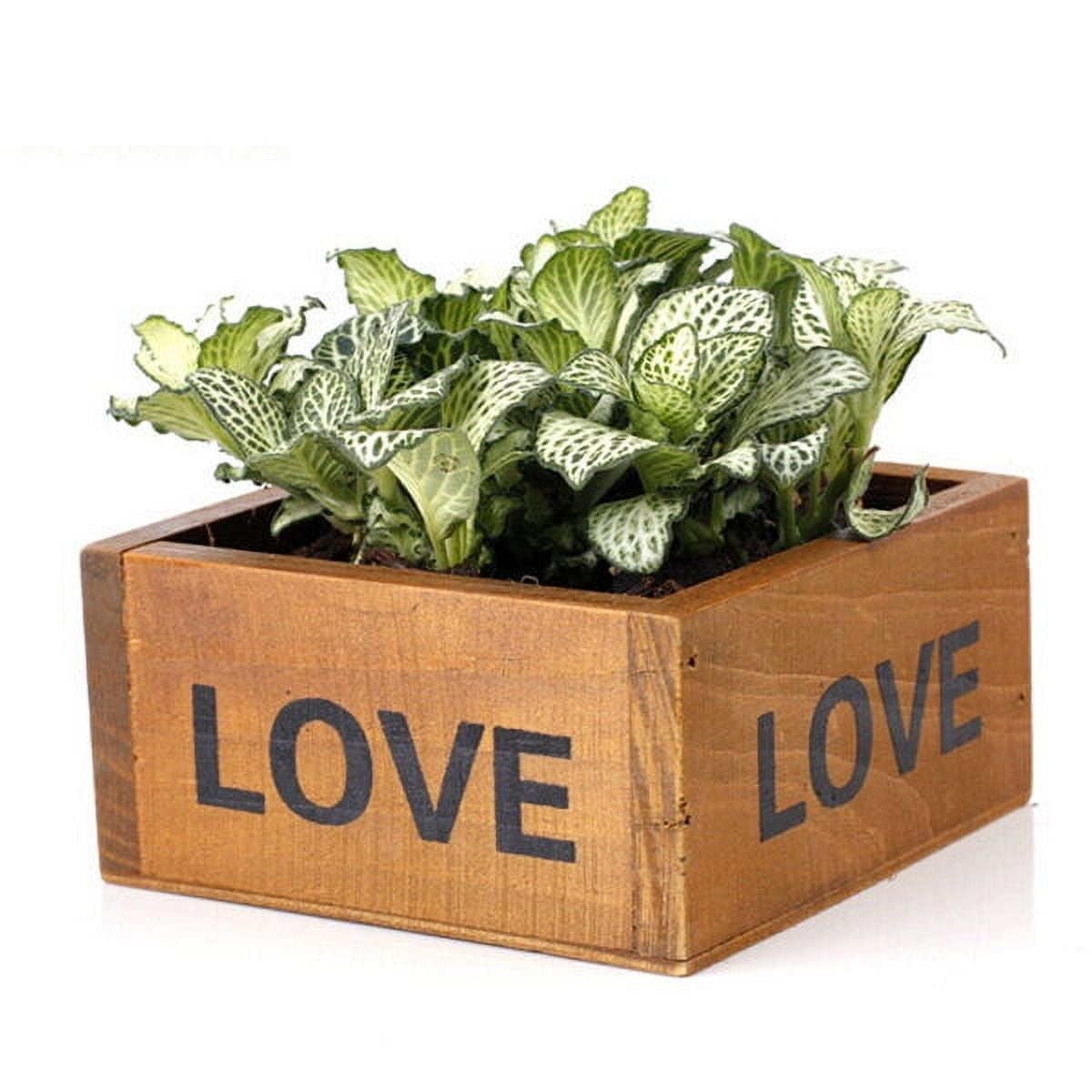 DINHEAROM Toilet Flower Pot Wooden Home Decor 1Pcs 3.9In - Walmart.com