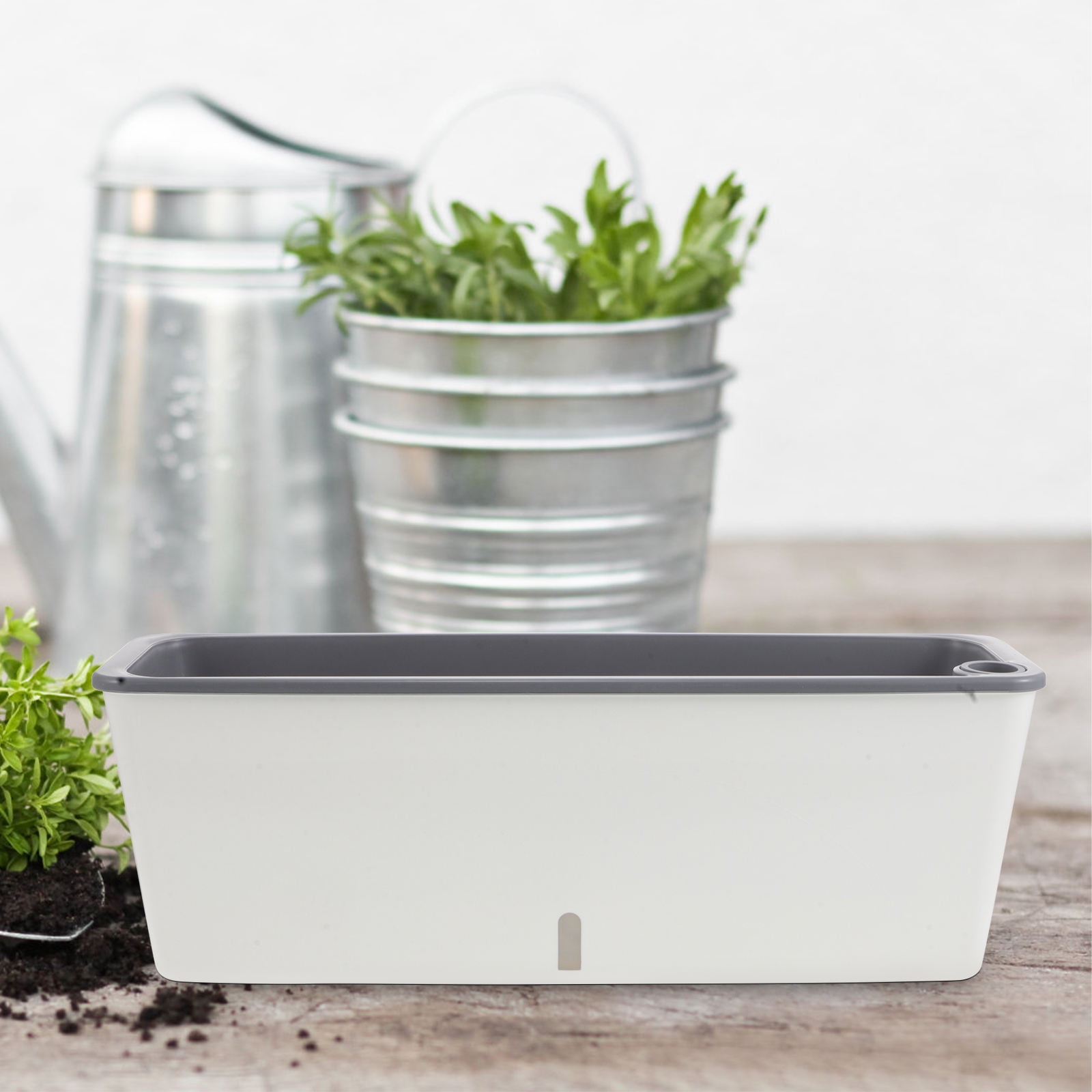 MLINS Plastic Plant Container with Water Storage Rectangular Window ...