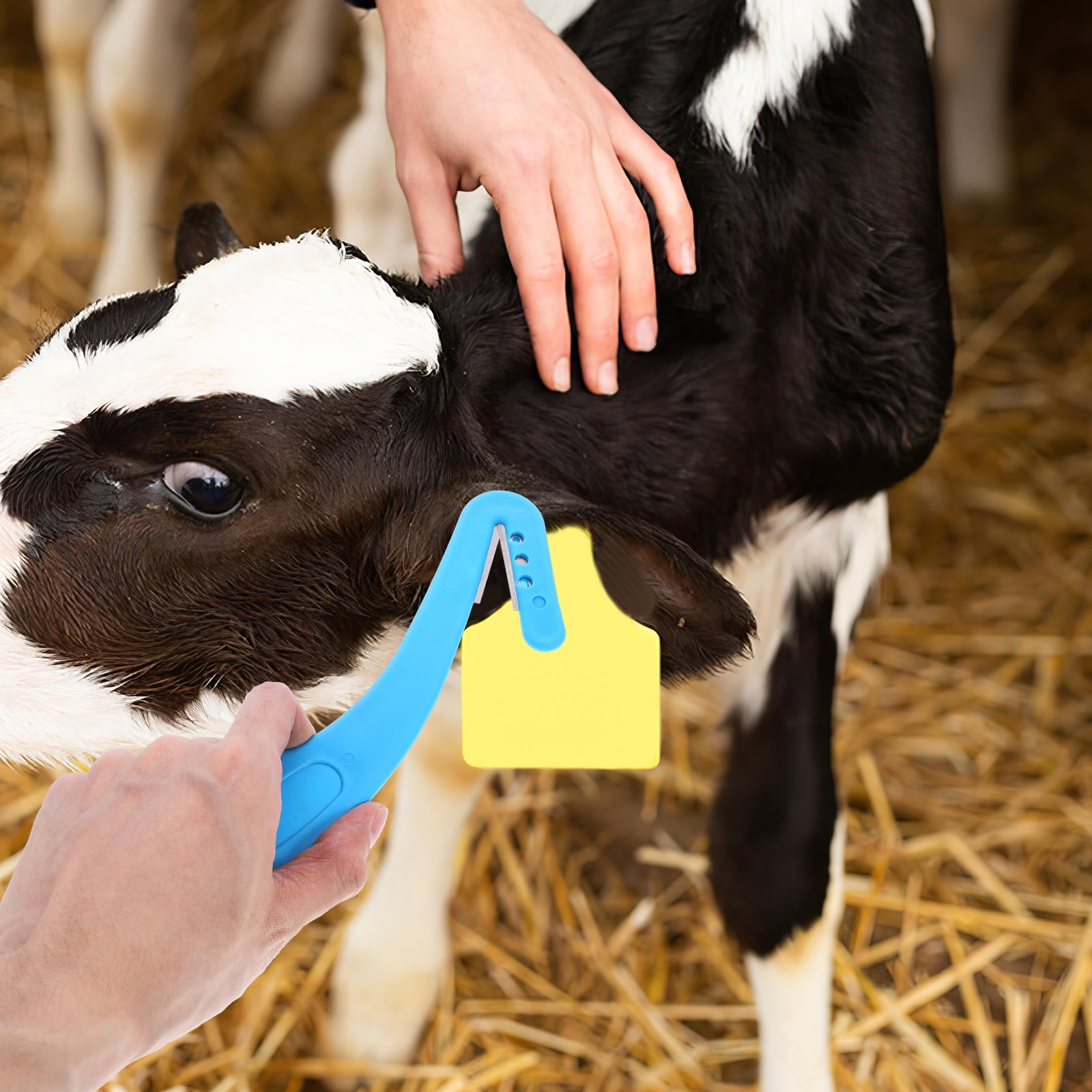 MLINS Plastic Steel Ear Tag Remover Convenient Ear Tags Remover ...