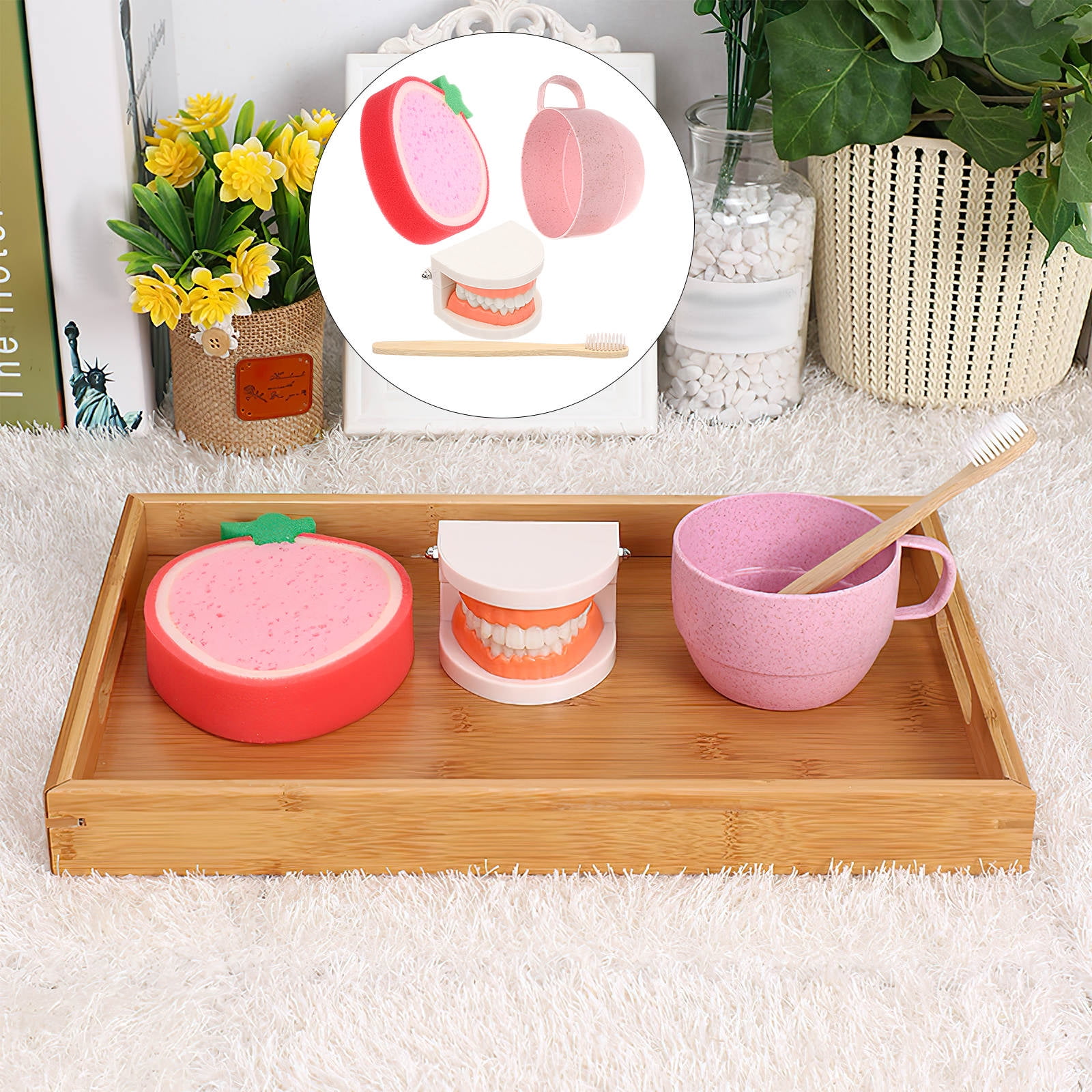 MLINS Plastic Teeth Model for Teaching Use with Assorted Colors and 180 ...