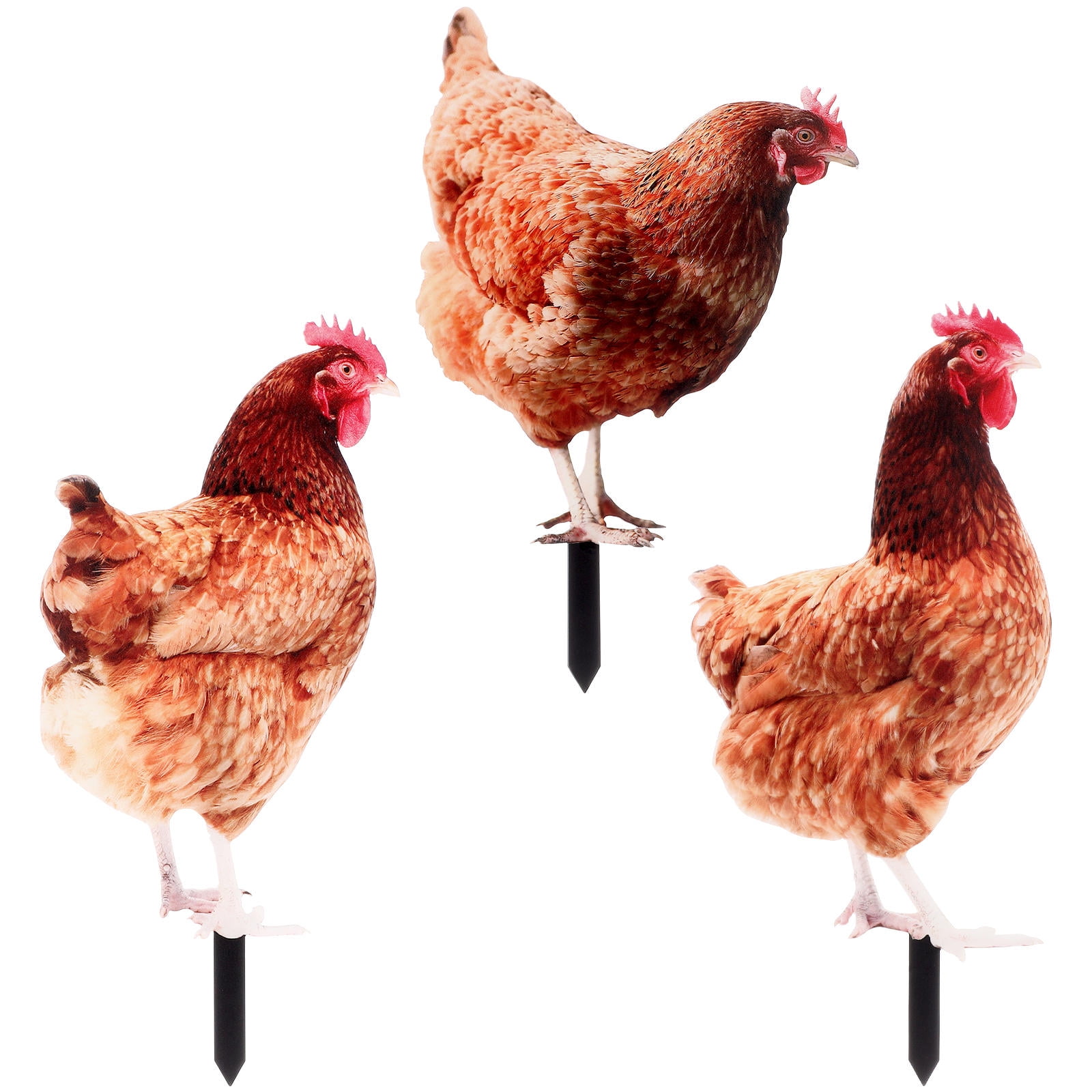 MLINS Realistic Garden Hen Stake with Acrylic Material for Decor Brown ...