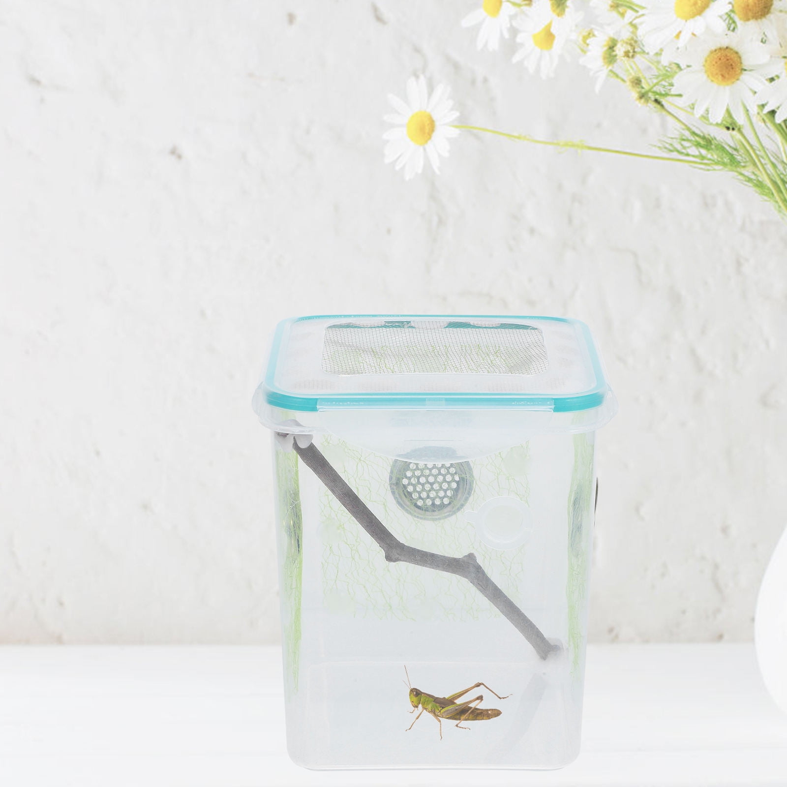 MLINS Reptile Feeding Box Transparent Breeding Box Clear Terrarium ...