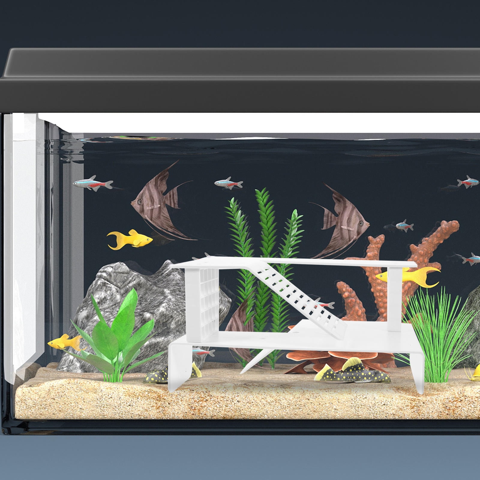 MLINS Reptile Terrarium Turtle Terrace Floating Basking Platform ...