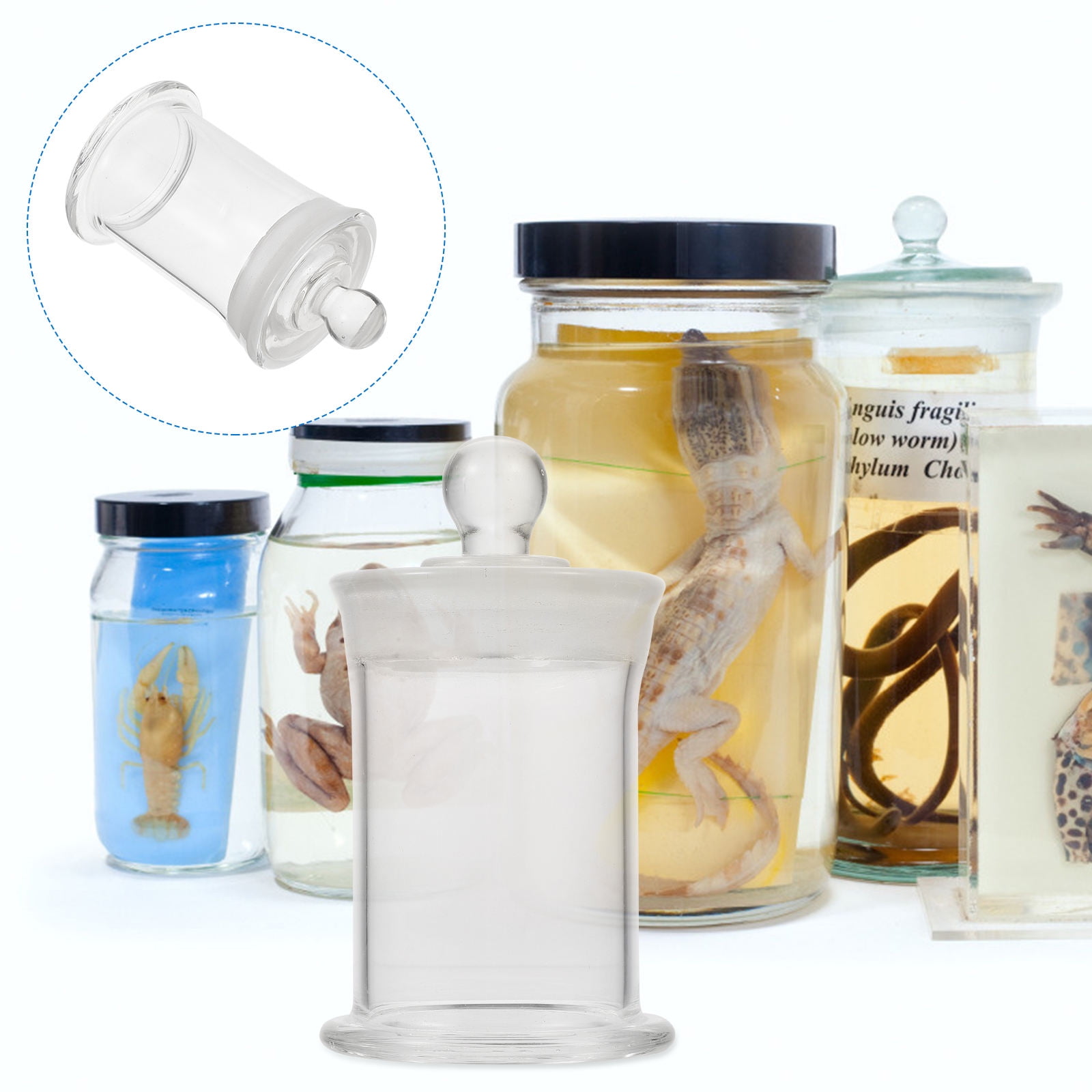 MLINS Sampling Glassware Vial Personal Storage Bottle Baby - Walmart.com