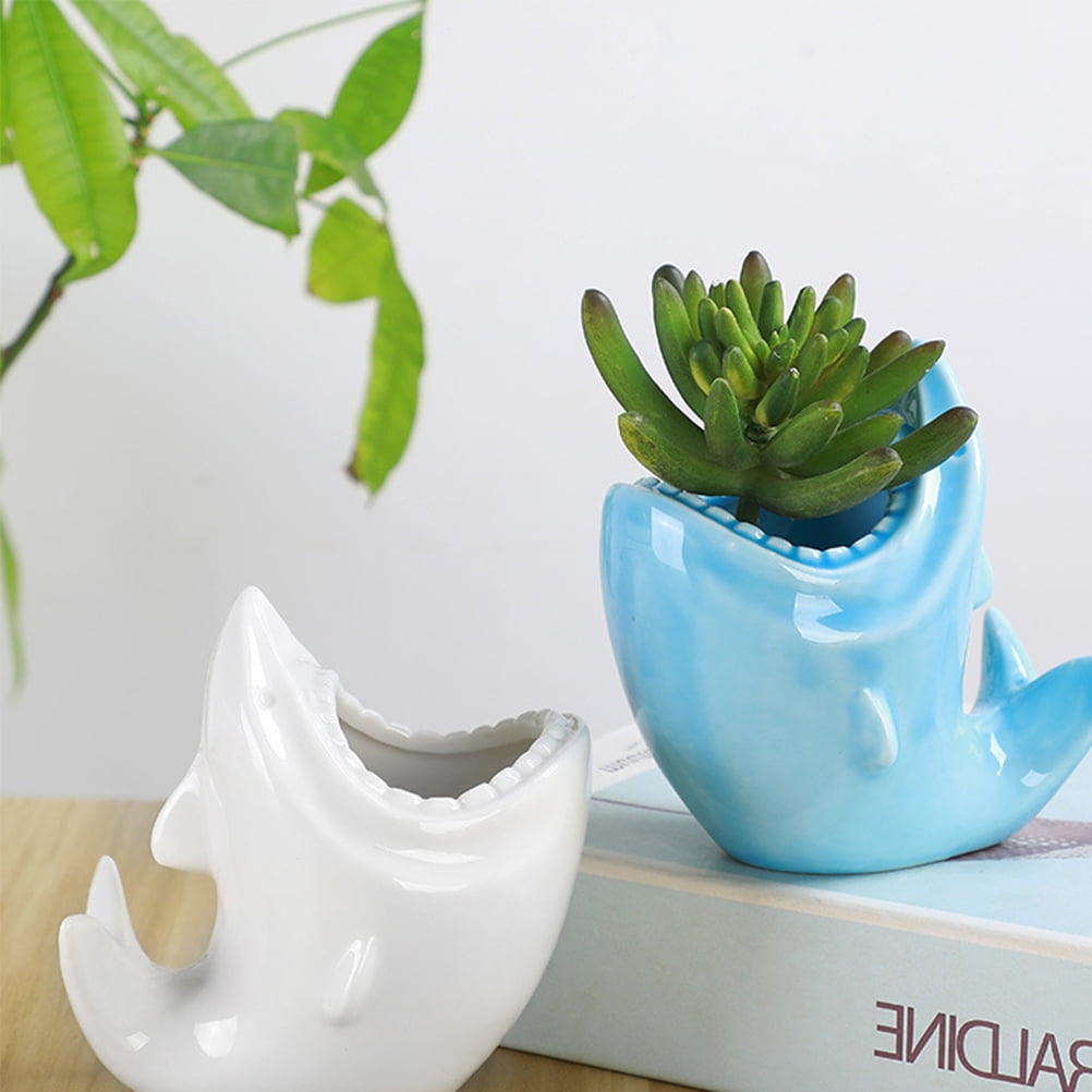MLINS Shark Shaped Ceramic Flower Pot for Succulents Adorable Desktop ...
