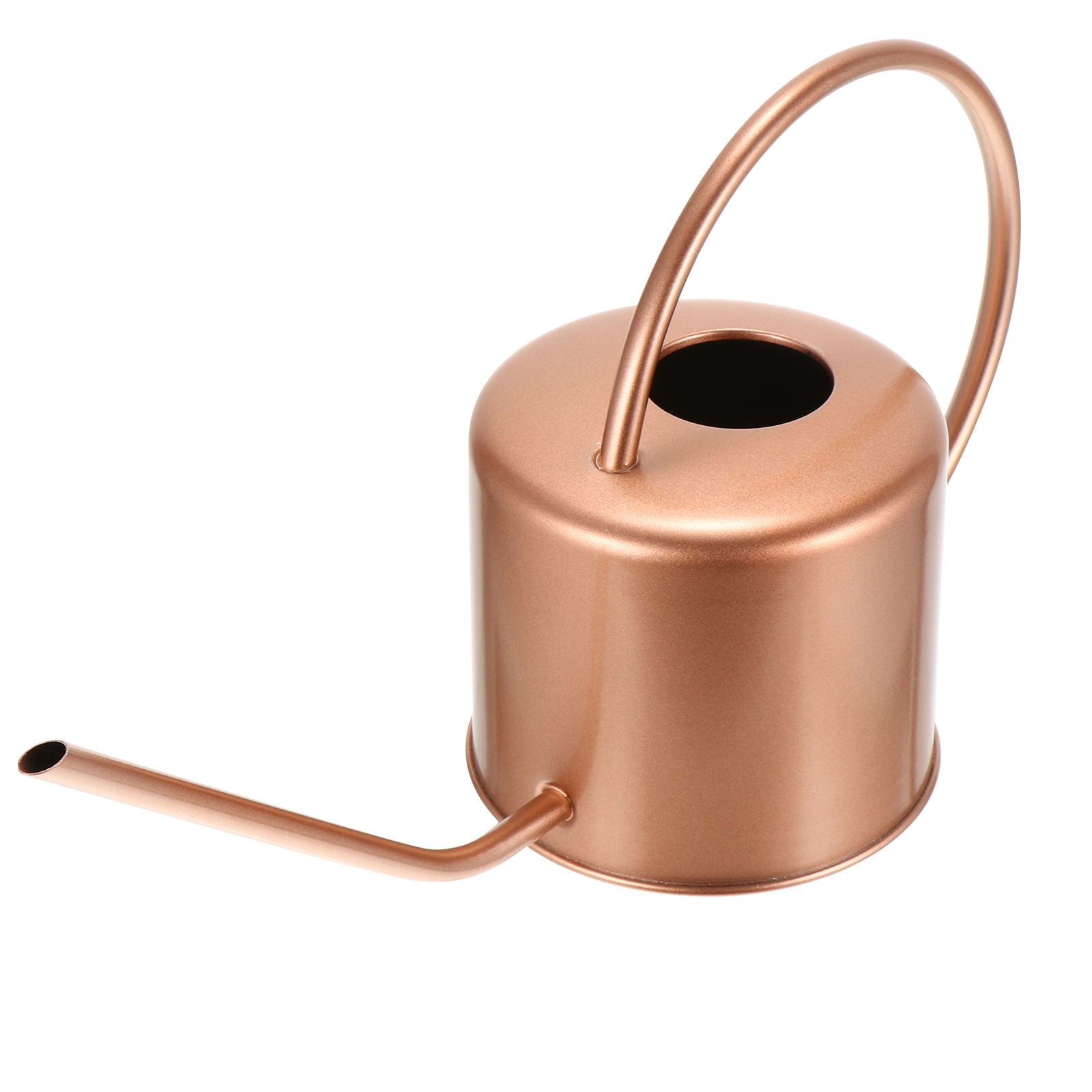 DINHEAROM Watering Pail Gardening Tool 1Pcs - Walmart.com