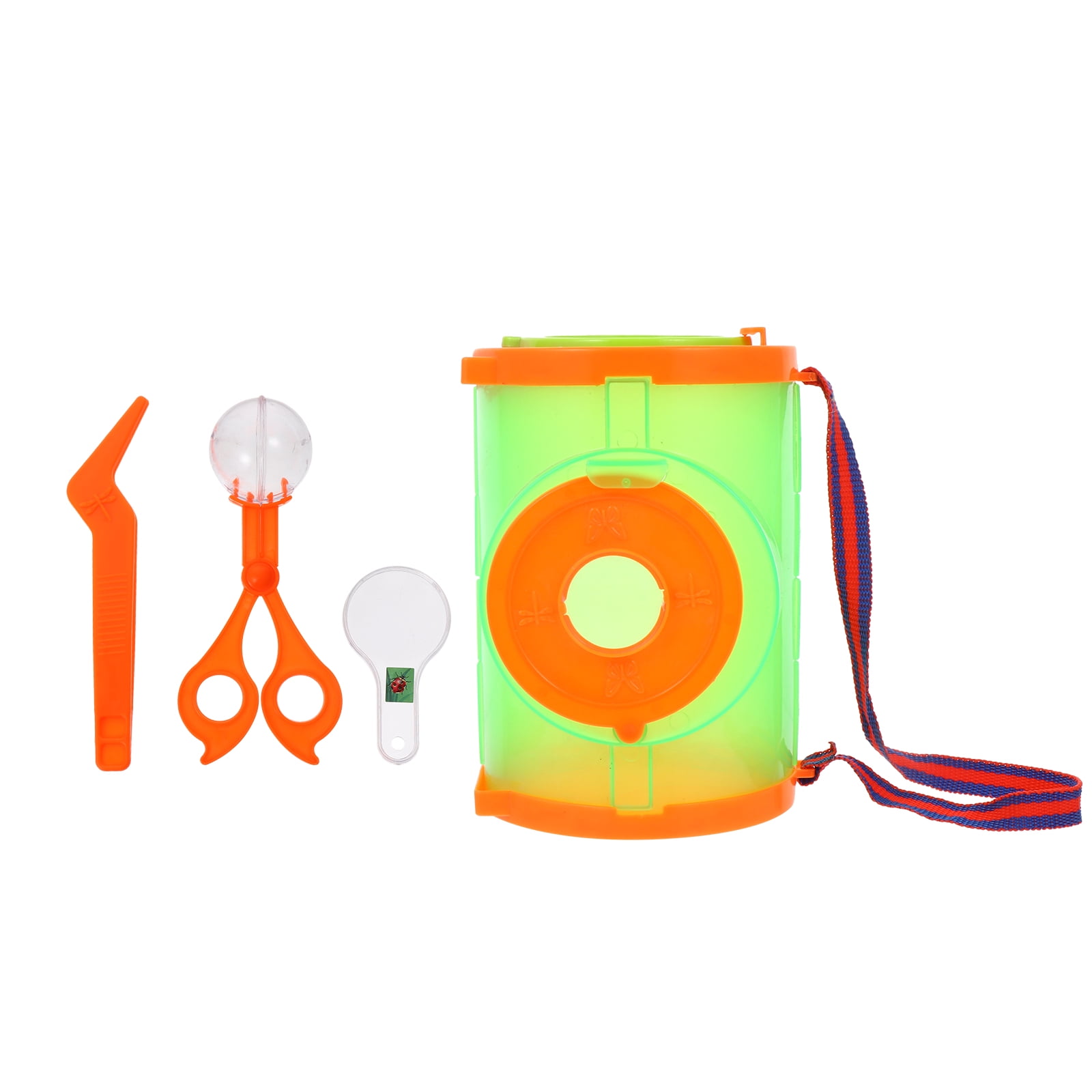 MLINS Specimen Box Insect Box Insect Storage Child 16.5X12CM - Walmart.com