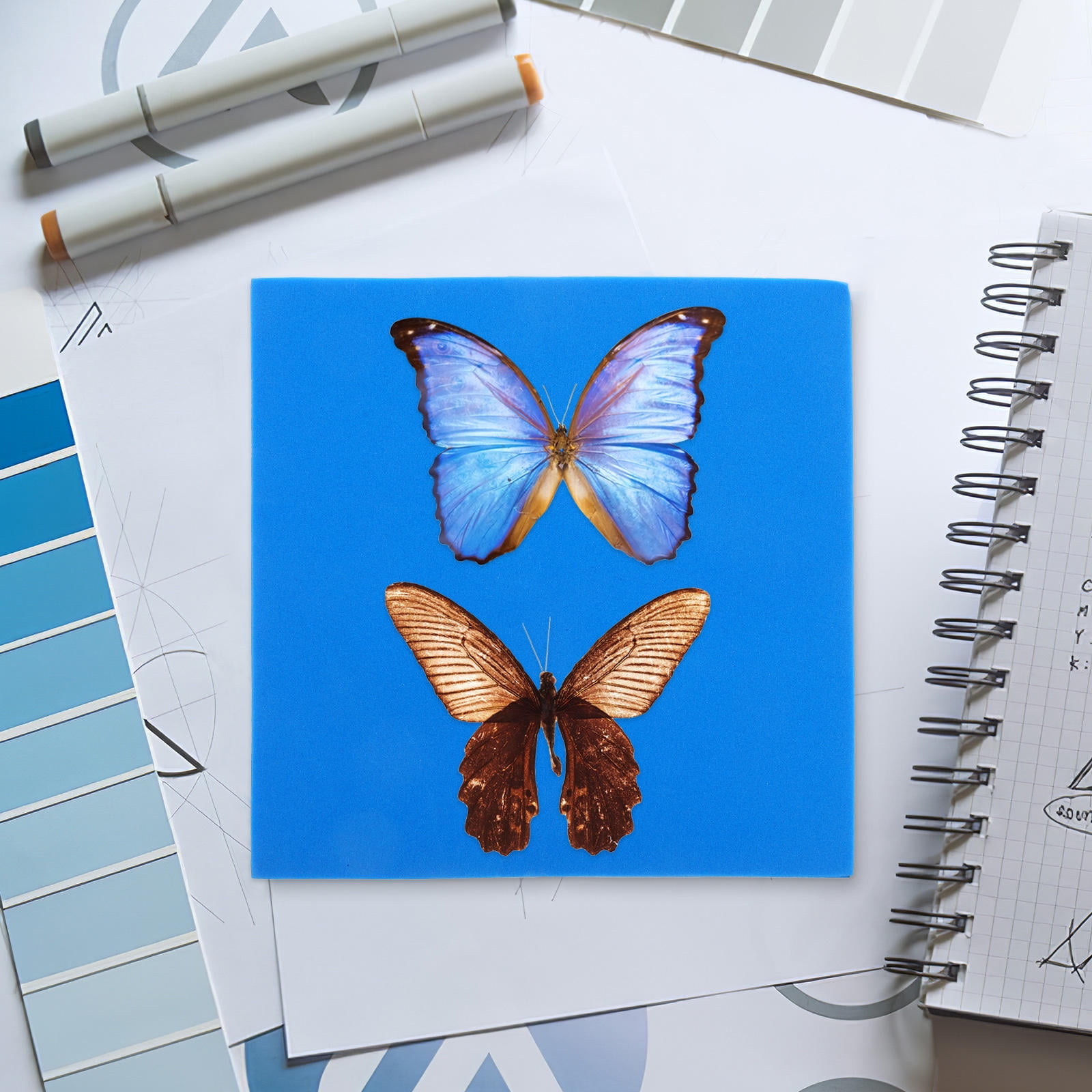 MLINS Specimen Pinning Board Butterfly Specimen Board Specimen Mounting ...