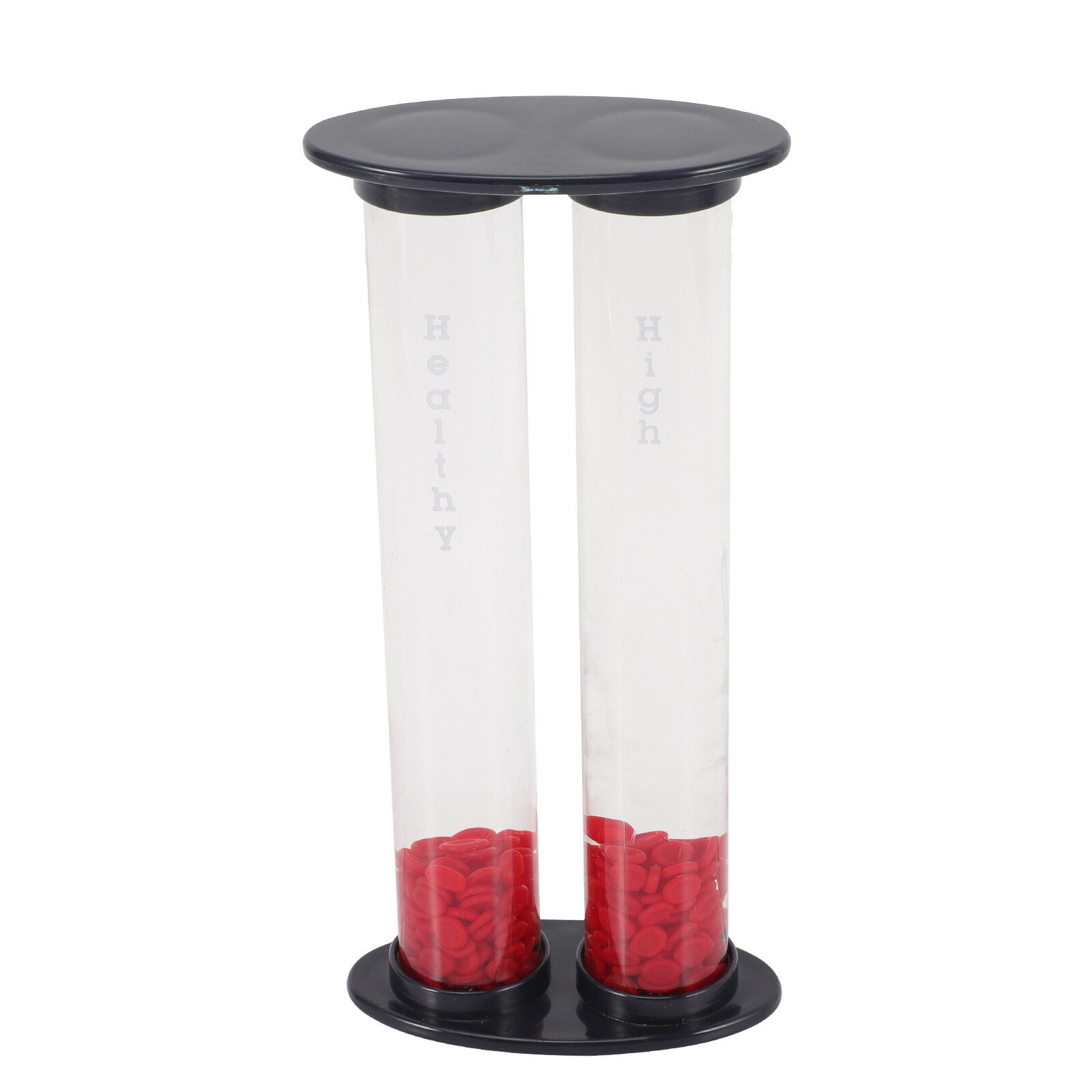 MLINS Teaching Blood Vessel Model Medical Display Blood Vessel Model ...