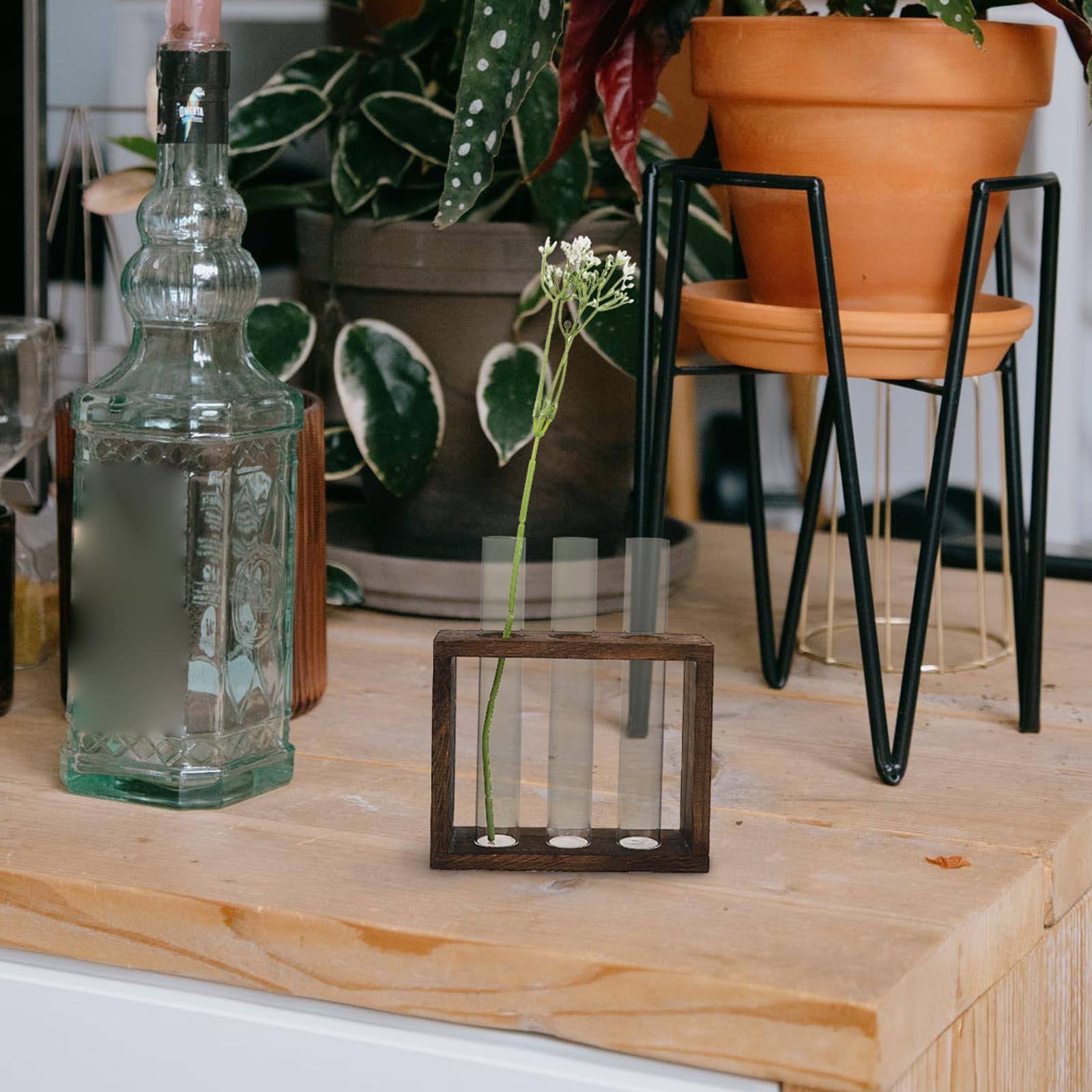 DINHEAROM Test Tube Planting Vase 1Set 5.9X1.9X7.1In - Walmart.com