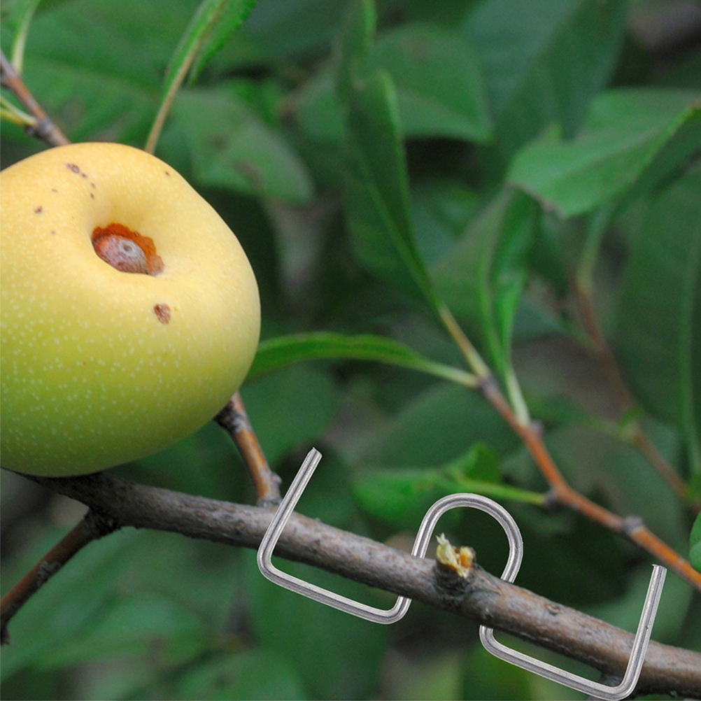 MLINS Tree Angle Pulling and Shaping Branches Tie Stick Shaper ...