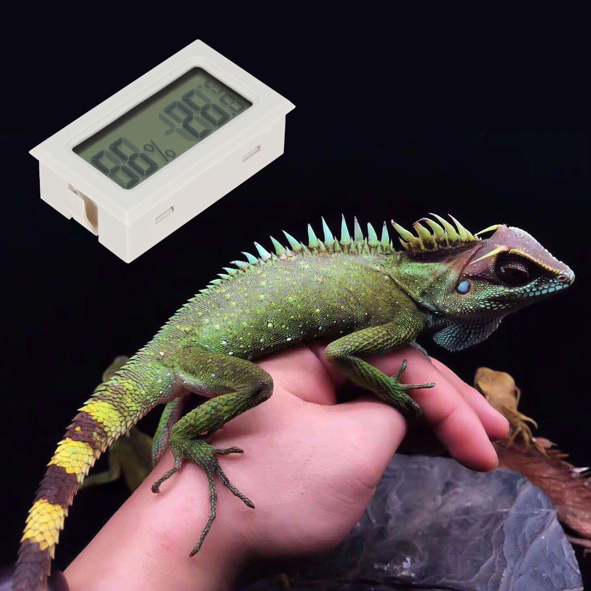 MLINS Wireless Digital Hygroscope for Accurate Temperature Measurement ...