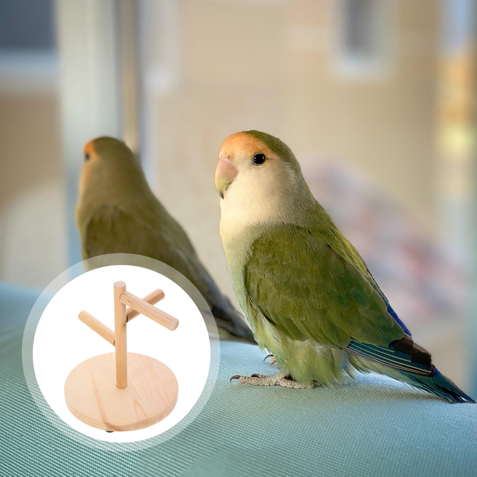 MLINS Wooden Bird Training Perch Stand for Kids Khaki Color Safe ...