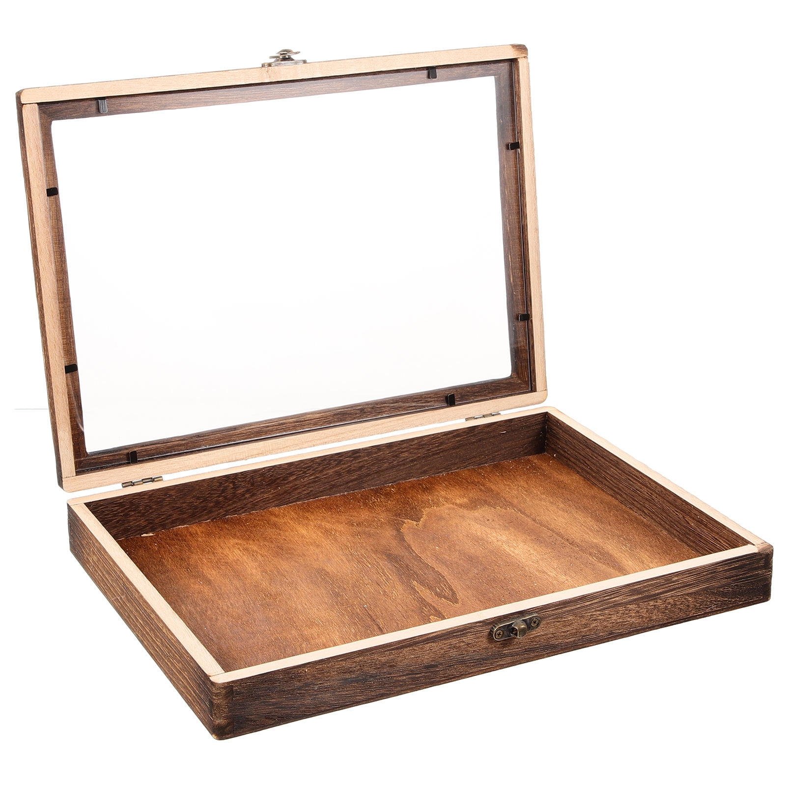 MLINS Wooden Insect Specimen Display Holder with Clear Acrylic Lid for ...